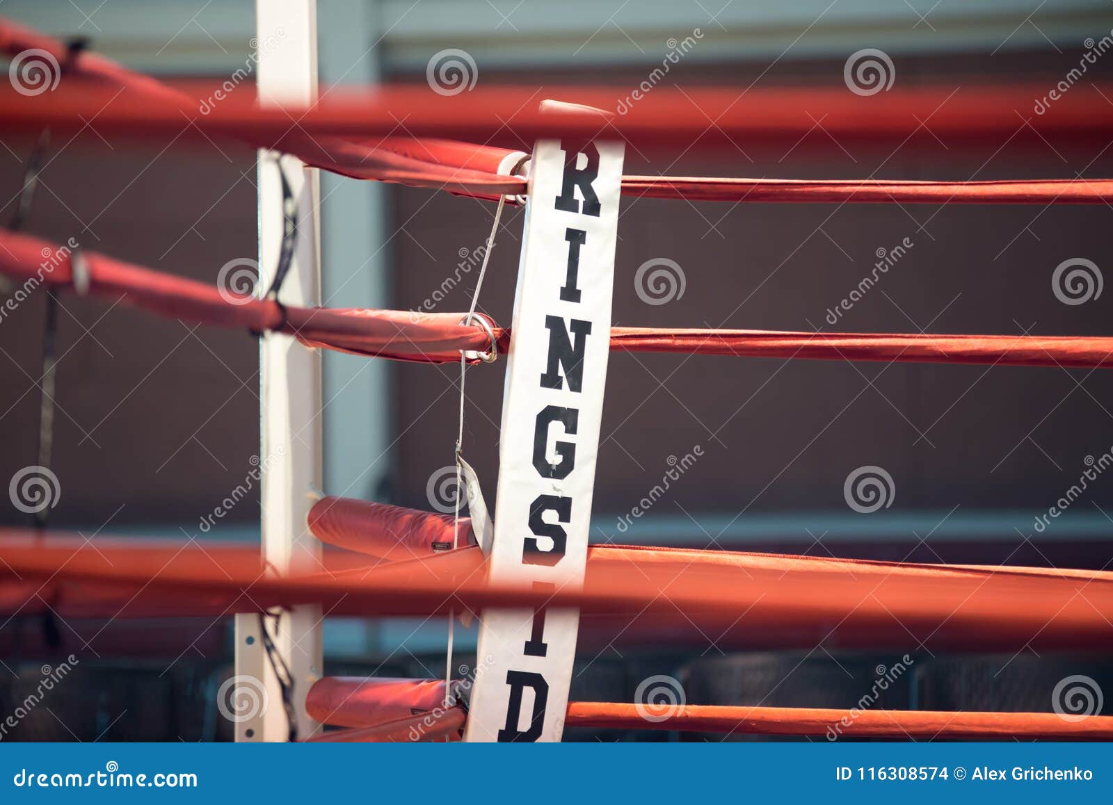 Empty Boxing Ring with Red Ropes for Match Stock Photo - Image of fight ...
