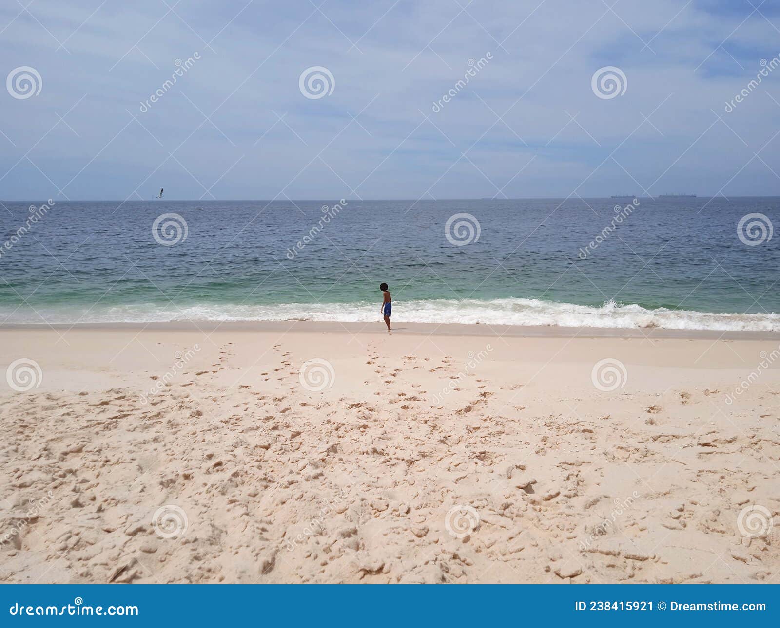 Empty Brazilian beach stock image. Image of beach, empty - 238415921