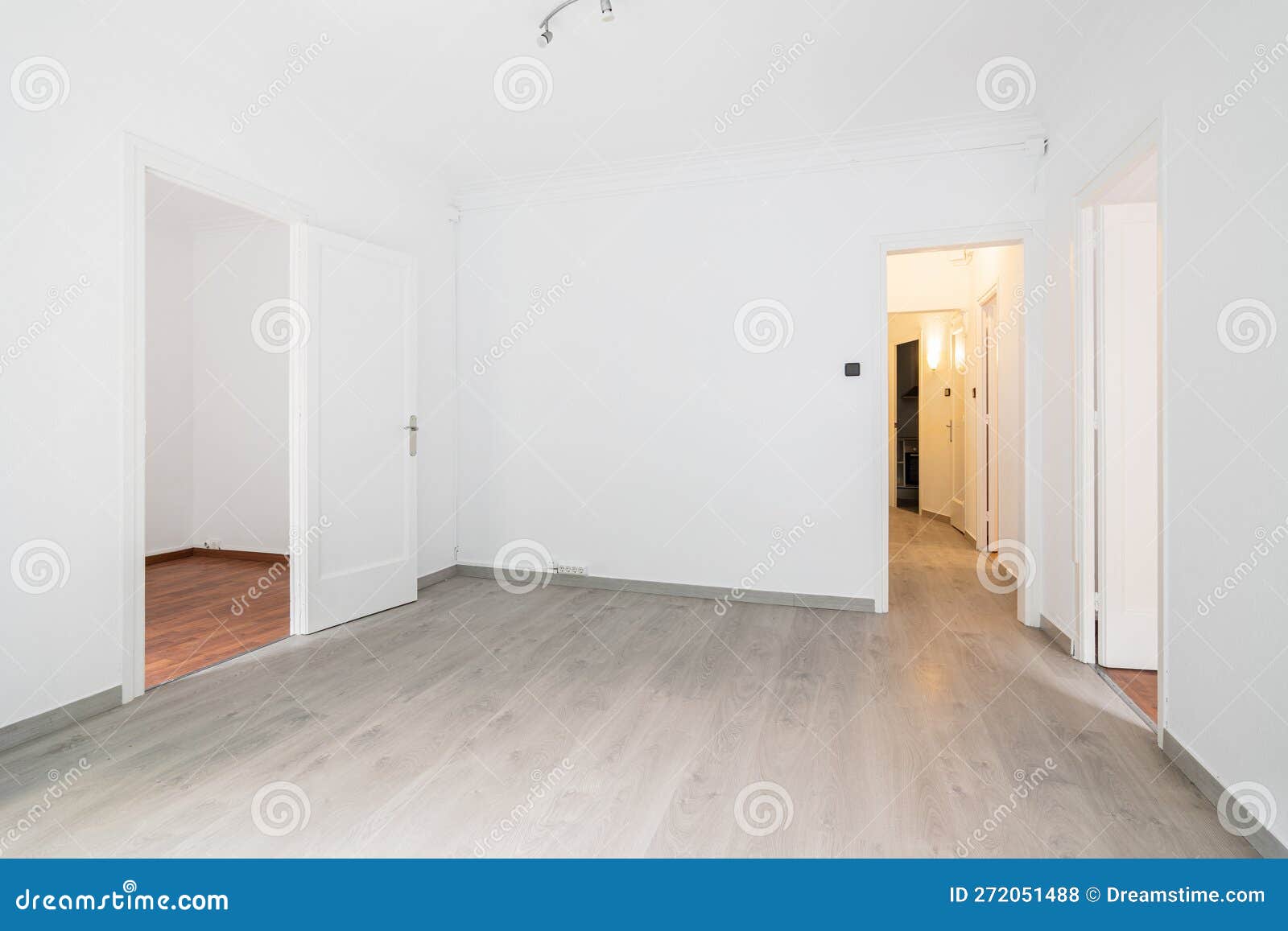 Empty Bright Spacious Walk-through Room with Open Doors and a View of ...