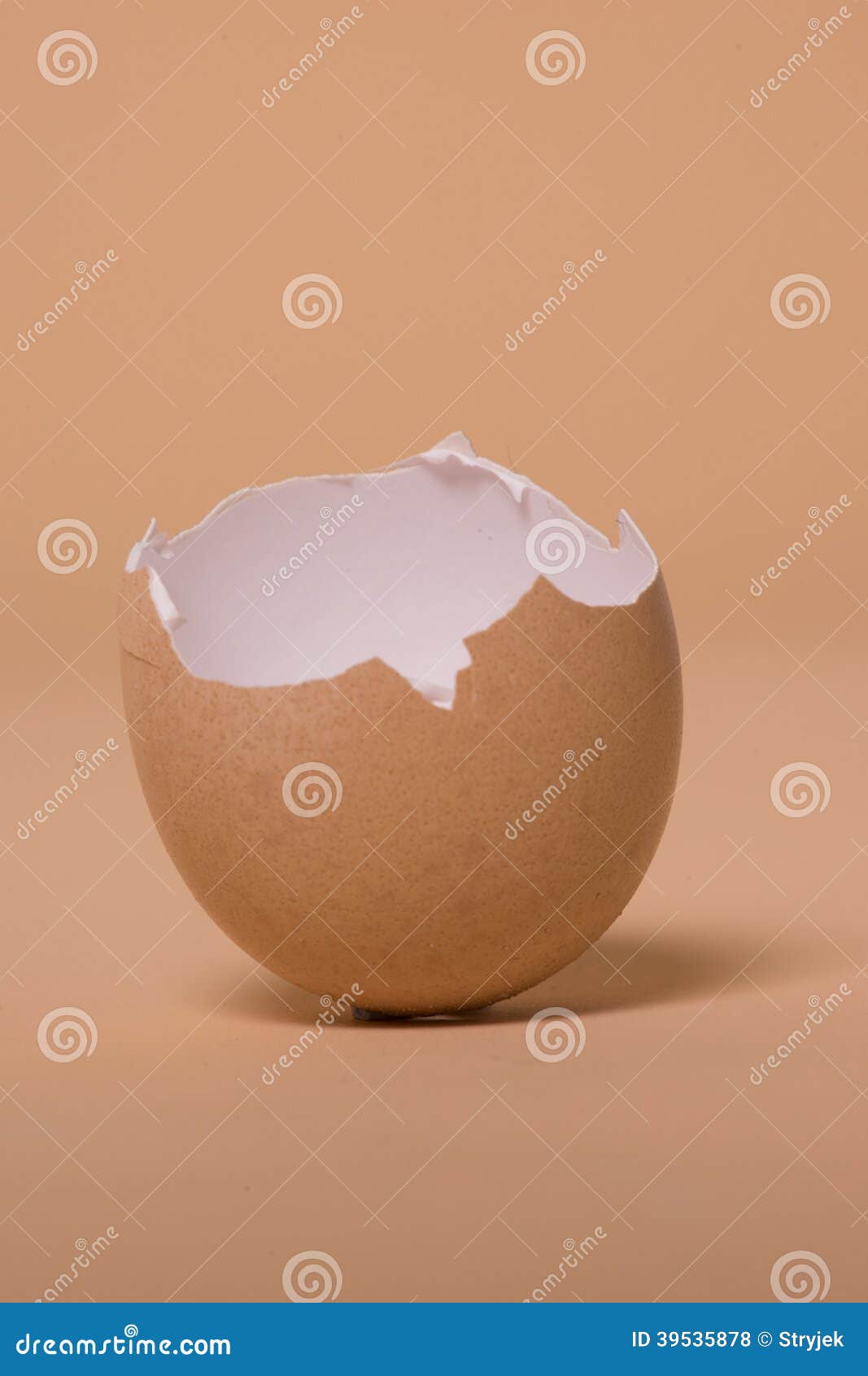 Empty Broken Brown Egg Shell Stock Photo - Image of shell, agriculture ...