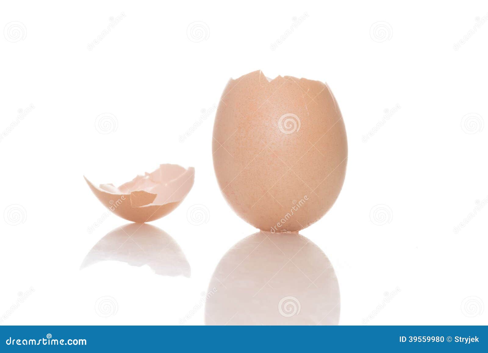 Empty Broken Egg Shell on a White Background Stock Photo - Image of ...