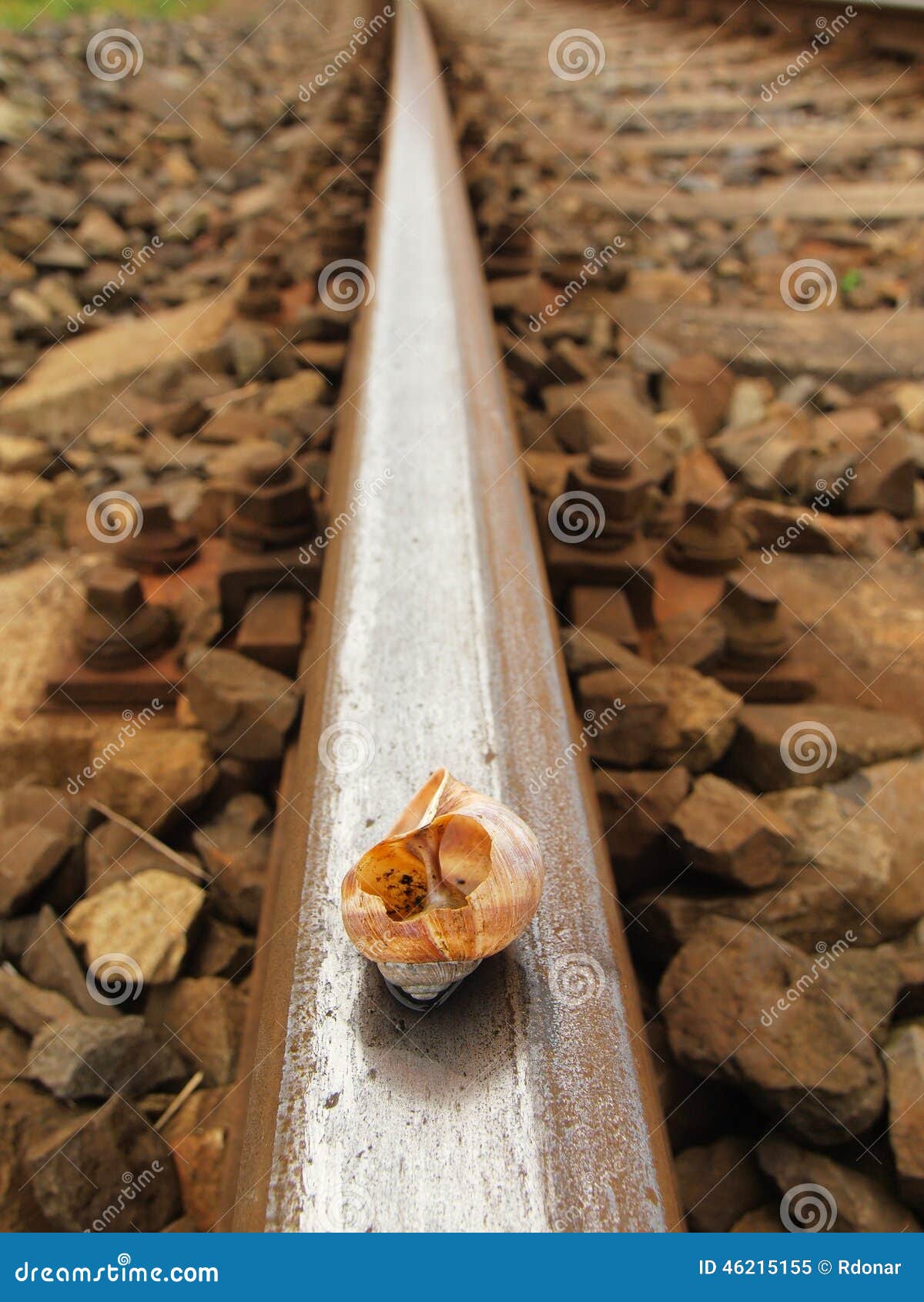 Snail On A Railway Rail Stock Photography | CartoonDealer.com #6690314