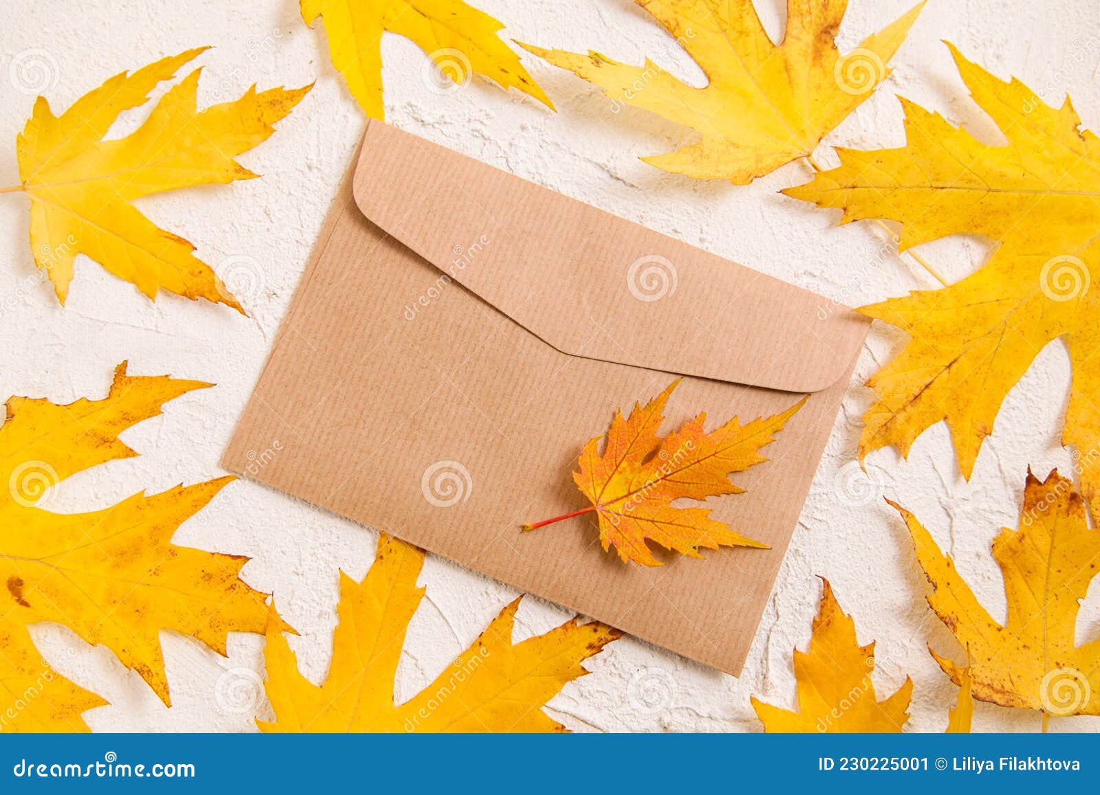 Empty Brown Craft Envelope, Autumn Leaves on White Background. Copy ...