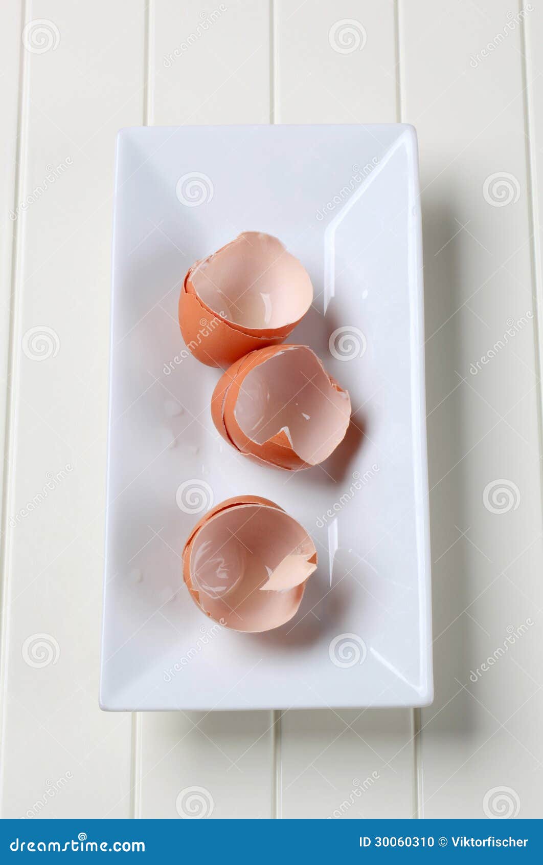 Empty egg shells stock photo. Image of life, closeup - 30060310