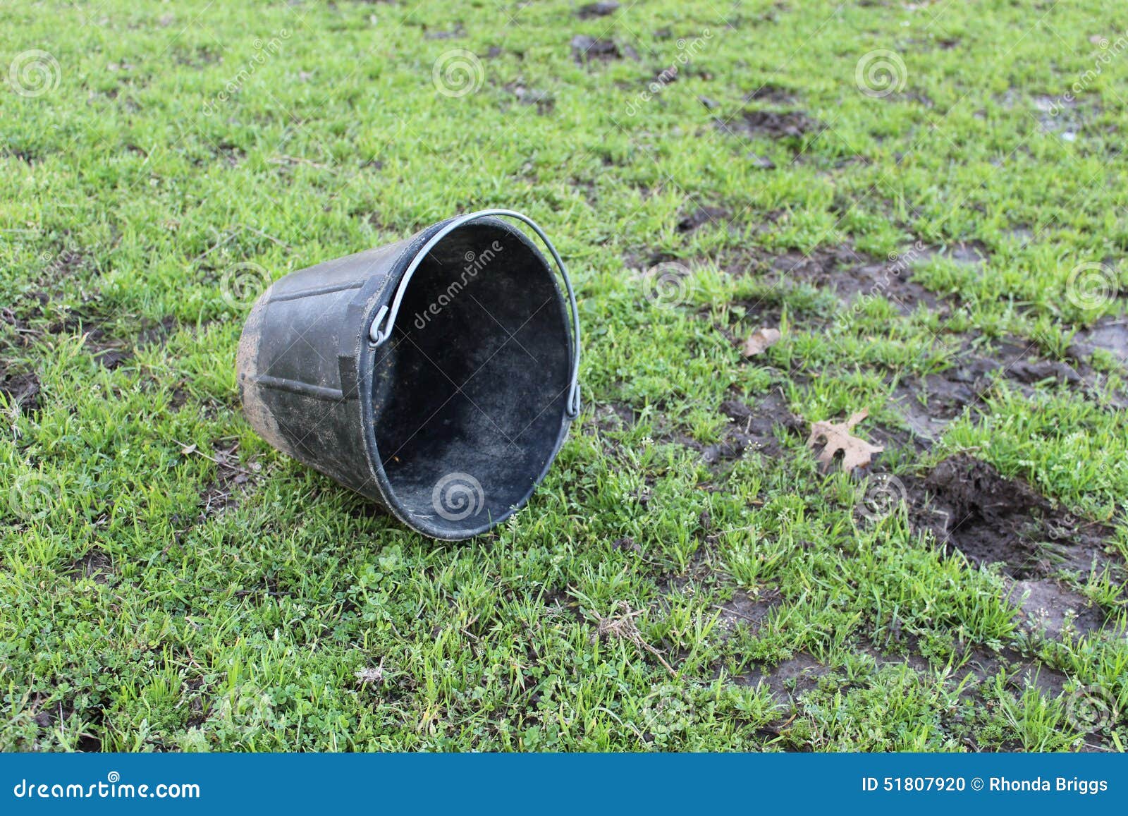 Empty Bucket stock photo. Image of lonely, alone, tool - 51807920