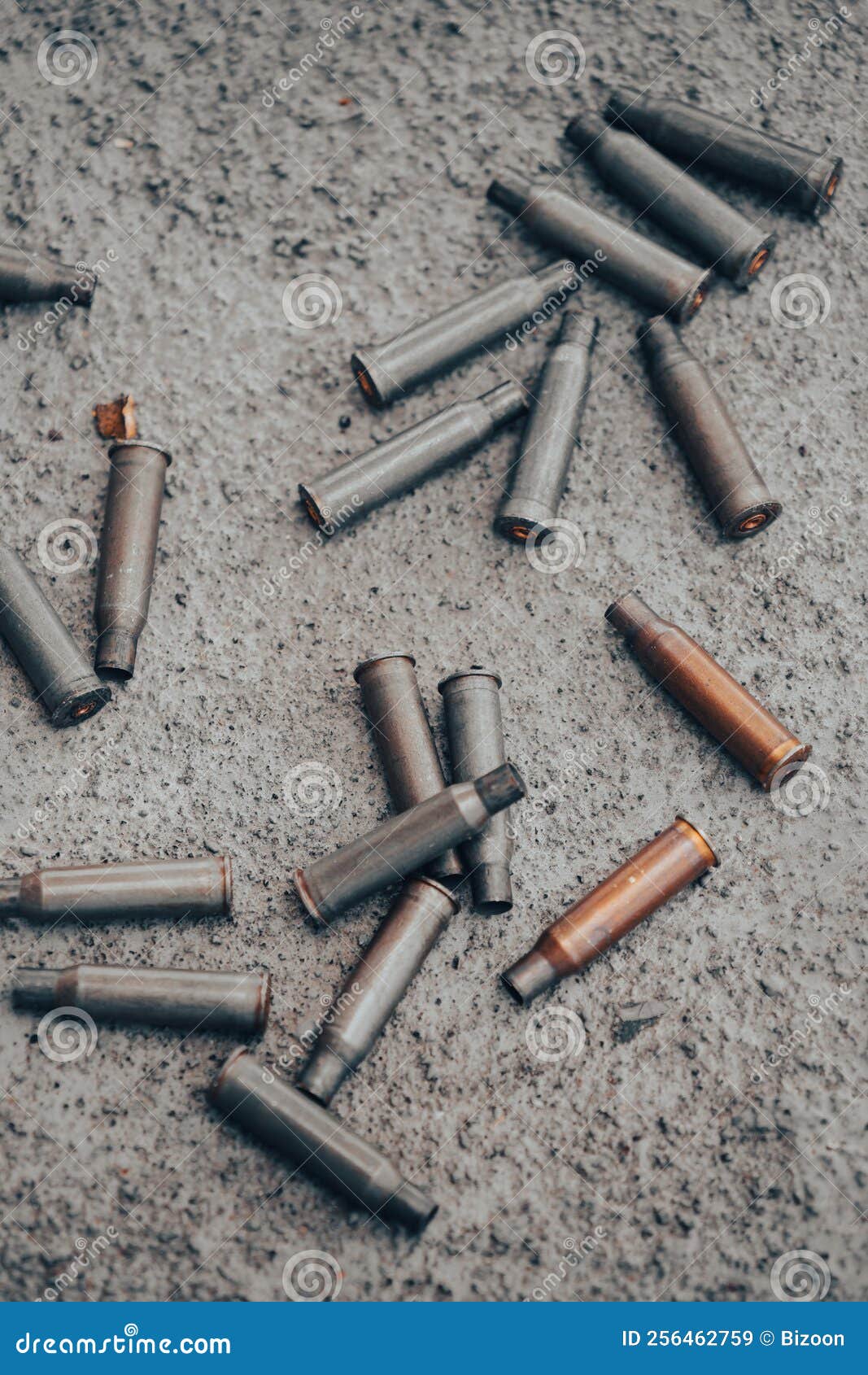 Empty bullet cartridges stock image. Image of brass - 256462759