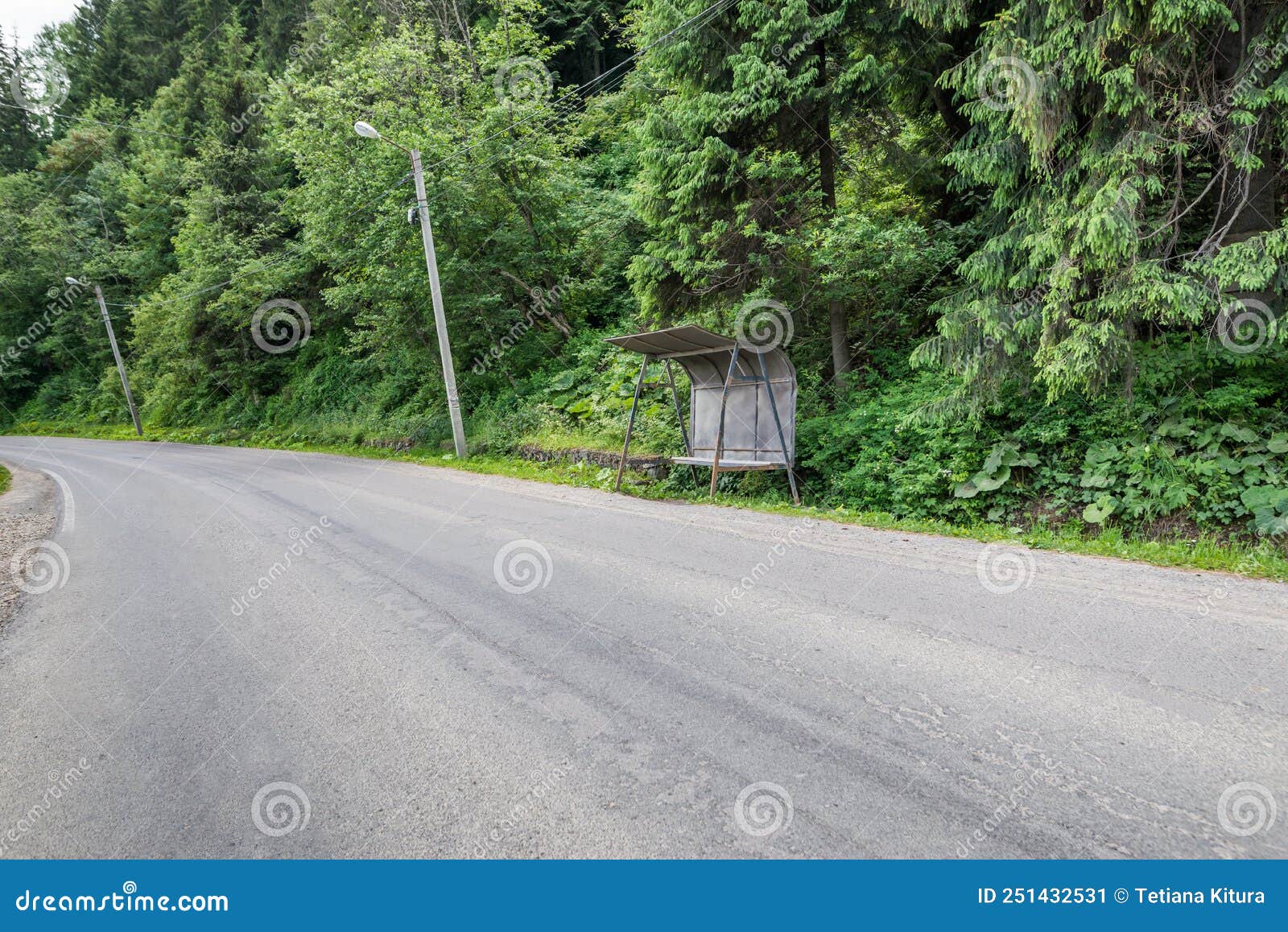 Empty Bus Stop in the Forest Stock Image - Image of copy, outdoors ...