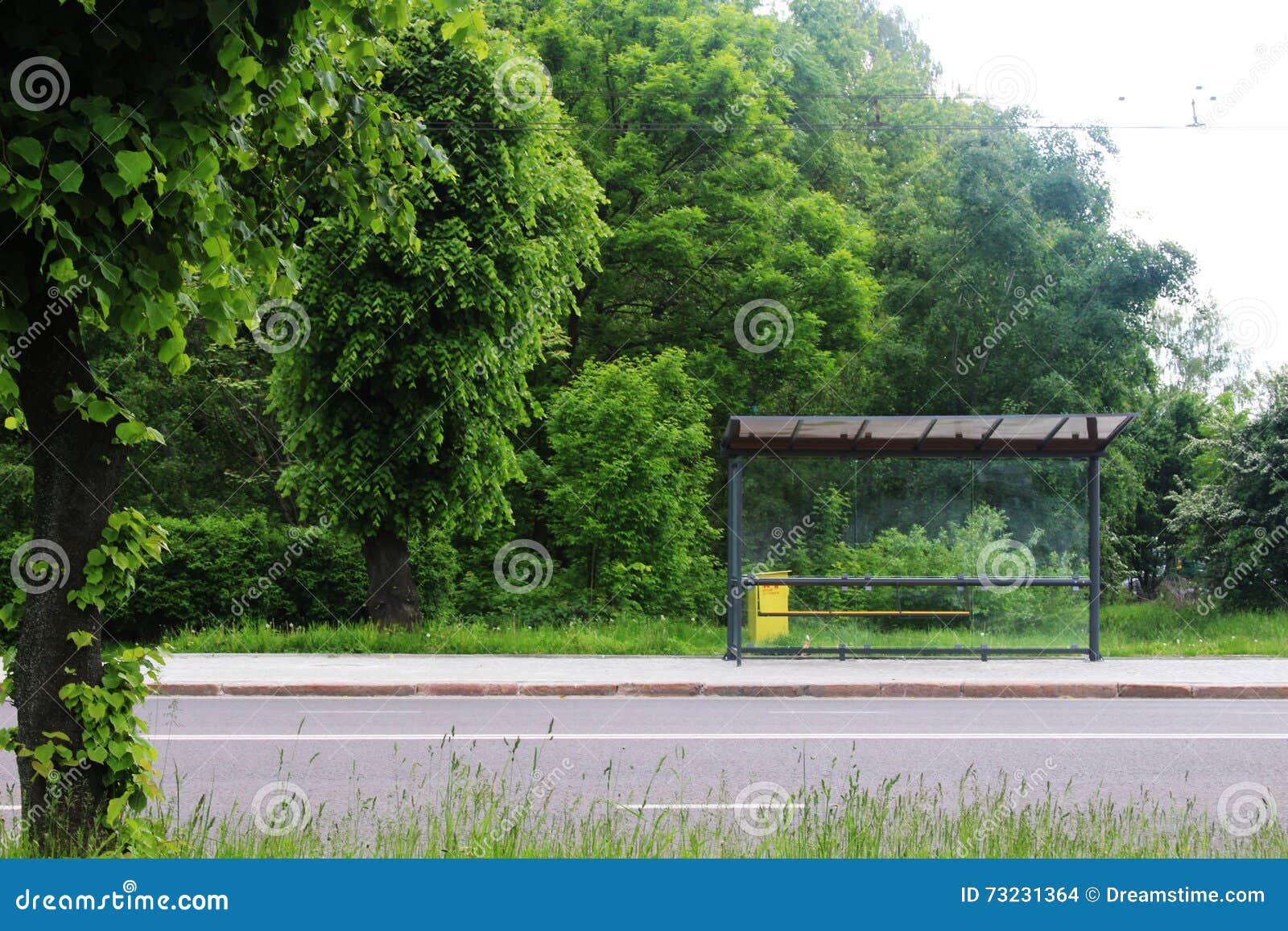 Empty Bus Stop in the Green Stock Photo - Image of uninhabited, highway ...