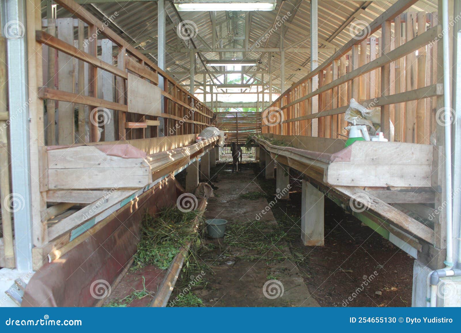 Empty cage stock photo. Image of shack, animal, pens - 254655130