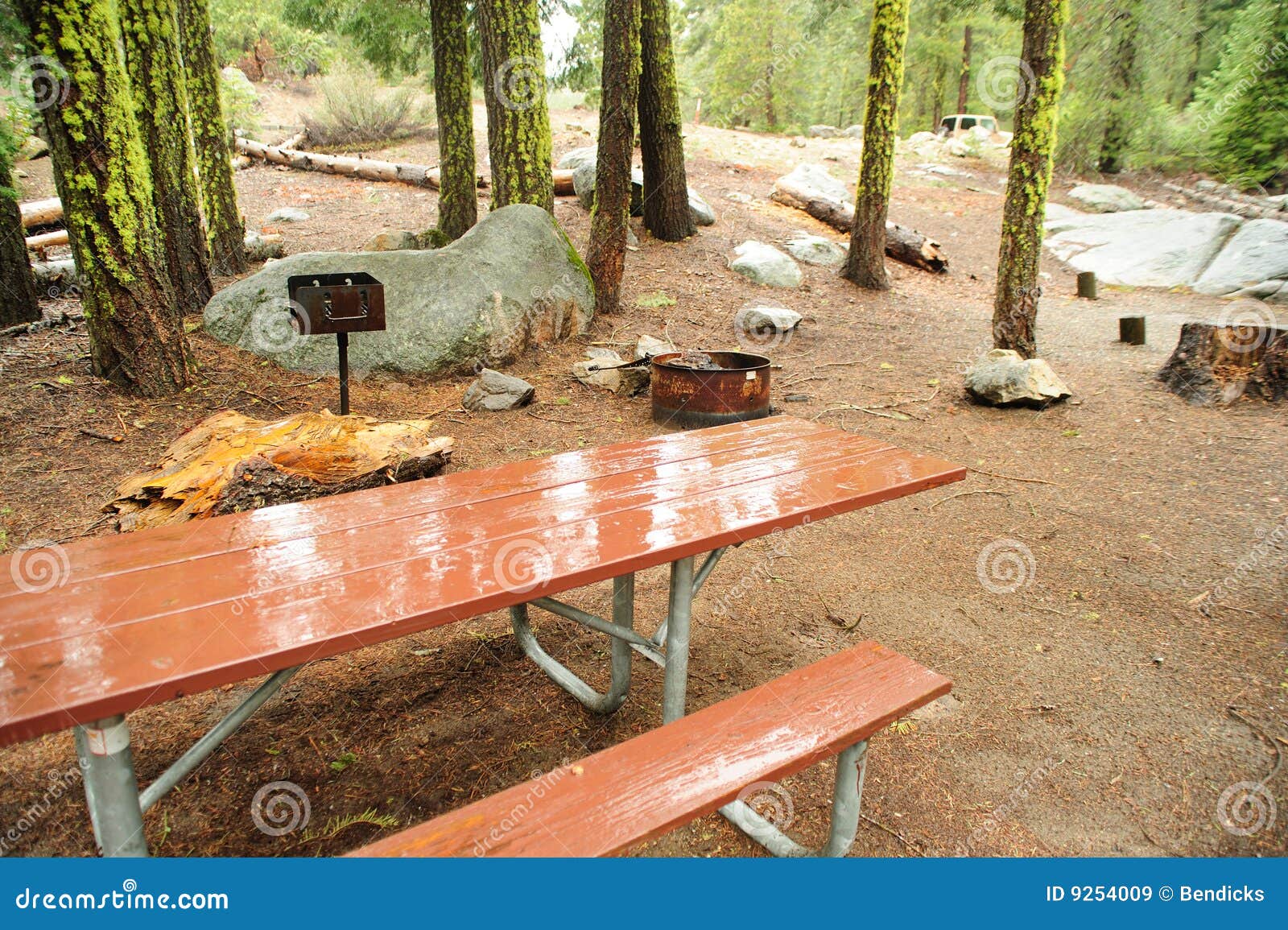 Empty Campground stock image. Image of rain, forest, bolders - 9254009
