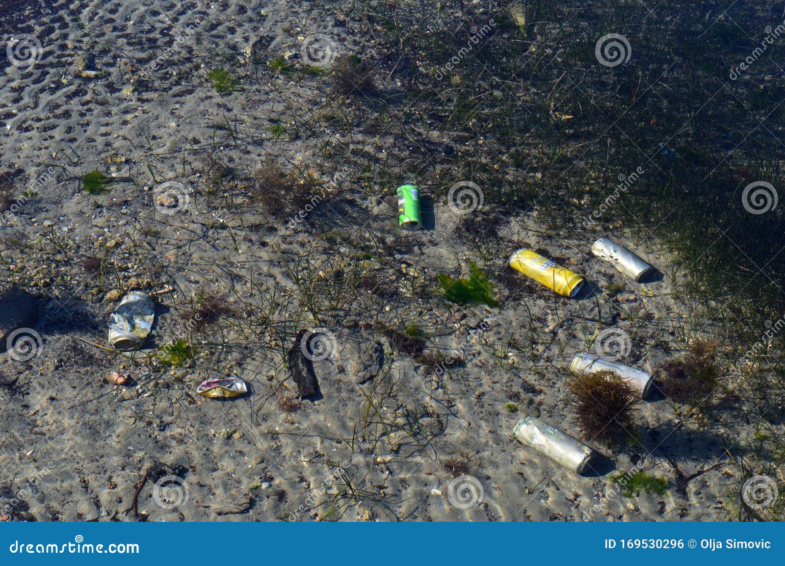 Cans in the sea stock photo. Image of ecology, cans - 169530296