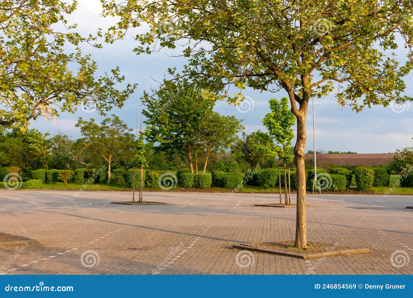 A Car Park with Trees in Spring Stock Image - Image of land ...