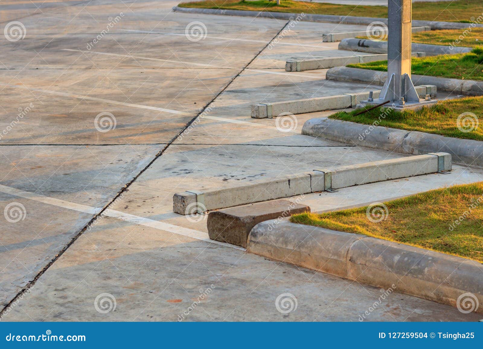 Empty Car parking lot stock photo. Image of green, background - 127259504