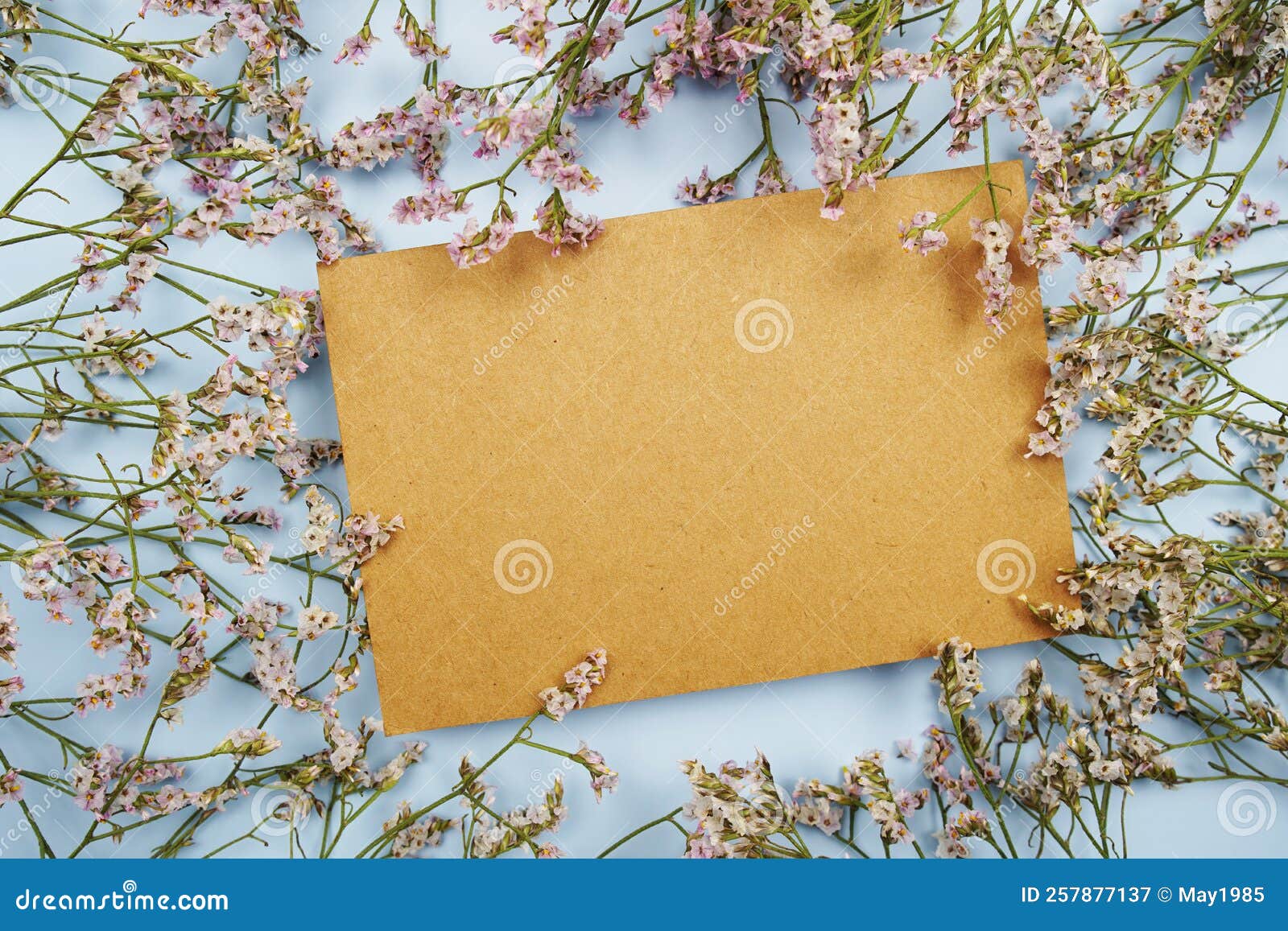 Empty Card for Text Message and Flower Decoration on Blue Background ...