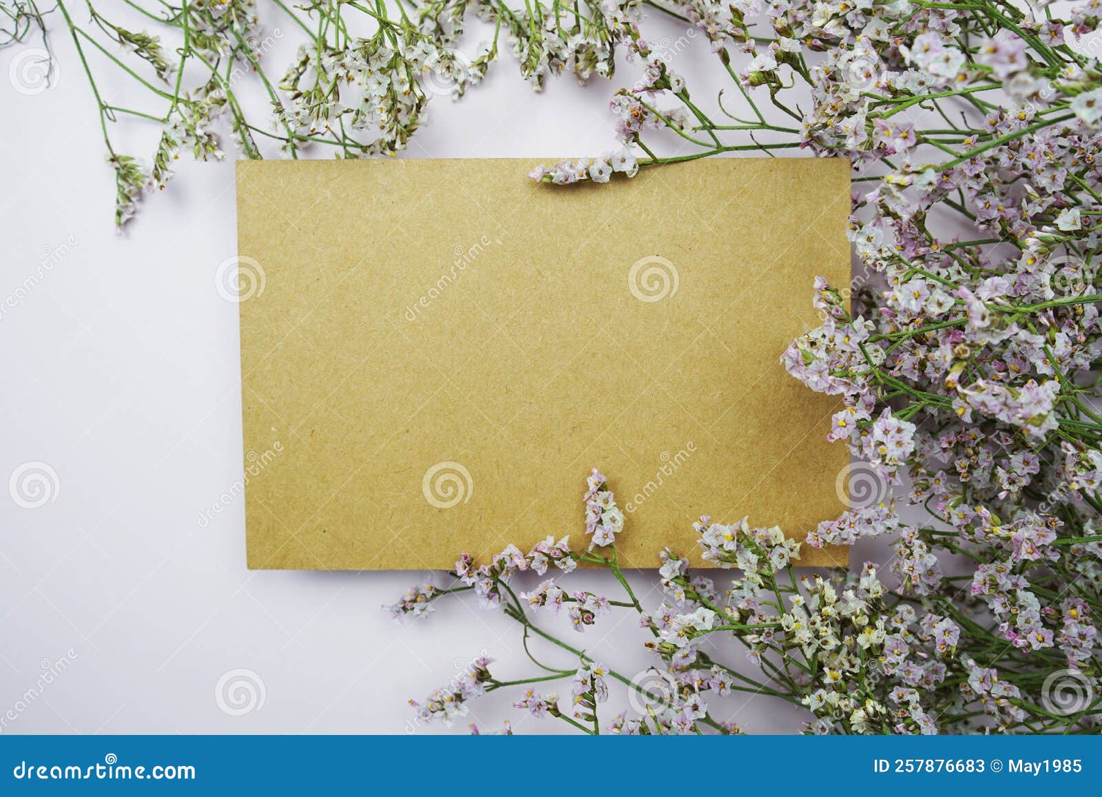 Empty Card for Text Message and Flower Decoration on Pink Background ...