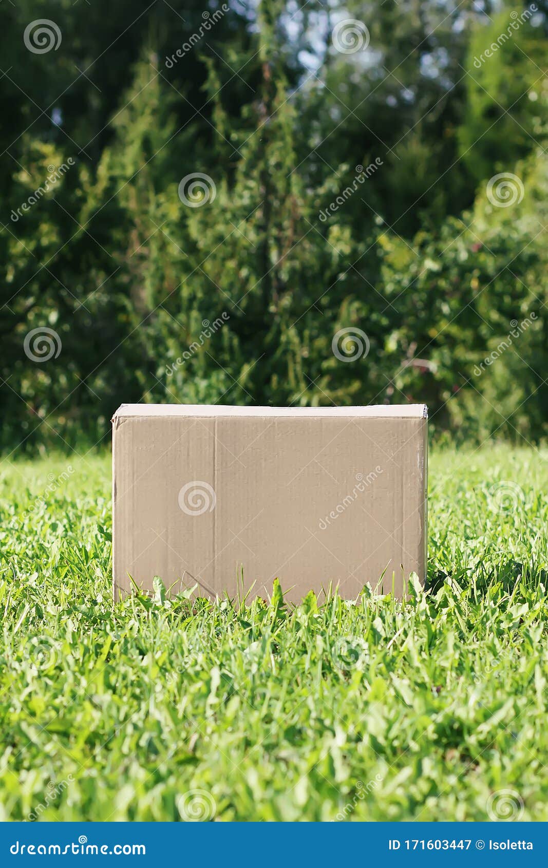 Empty Cardboard Box on Green Grass Outdoors Stock Image - Image of ...