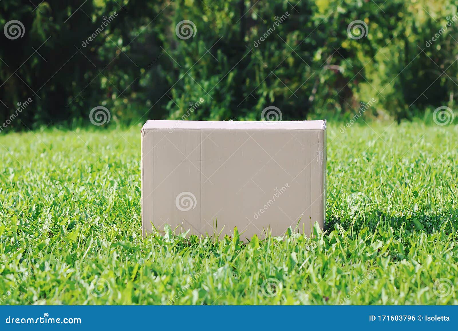 Empty Cardboard Box on Green Grass Outdoors Stock Photo - Image of mail ...