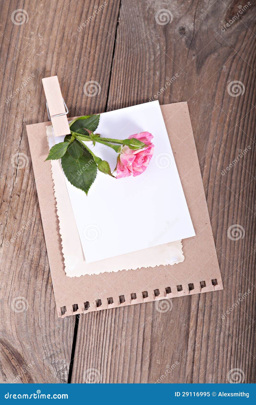 Empty Cardboard Card with Flowers Stock Image - Image of frame, mail ...