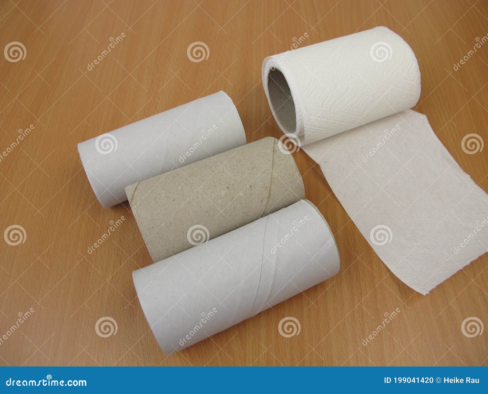 Empty Cardboard Tubes from Toilet Paper Stock Photo - Image of toilet ...