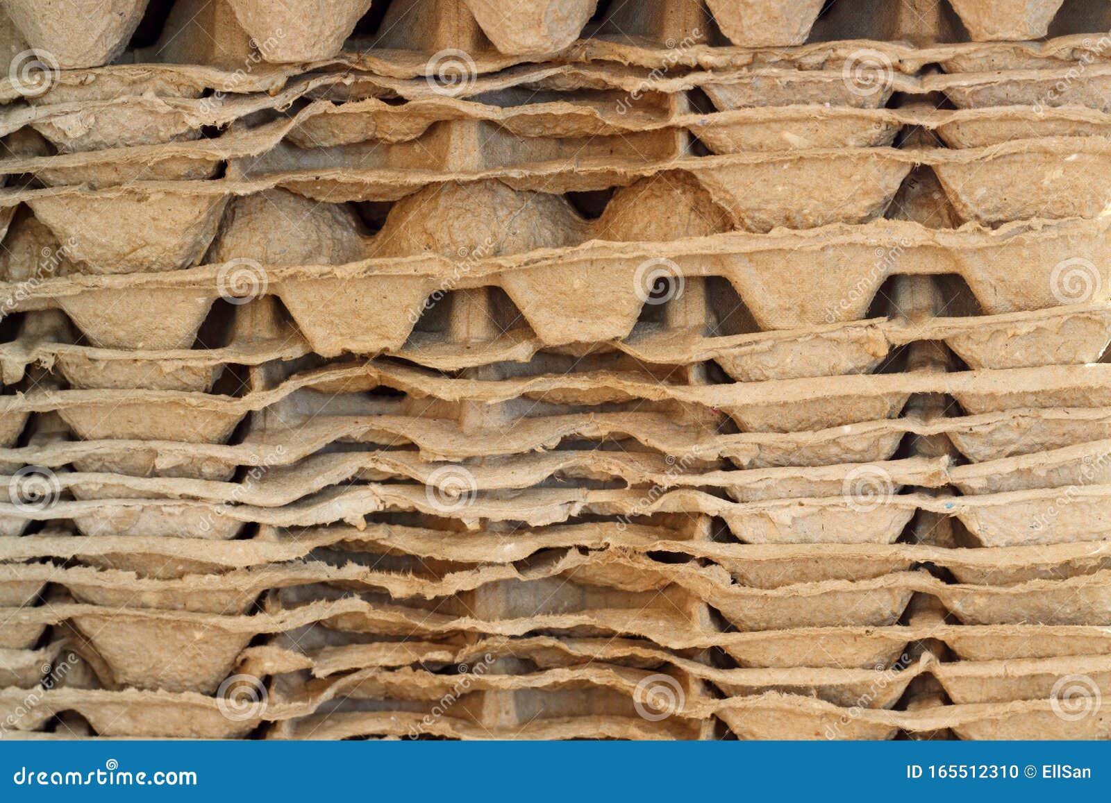 Empty Carton Packs for Raw Chicken Eggs Stock Photo - Image of empty ...