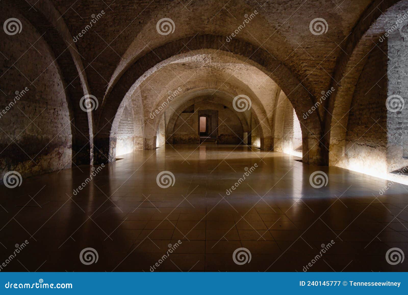 Empty Cellar with Electric Light and Old Historic Arches Stock Image ...