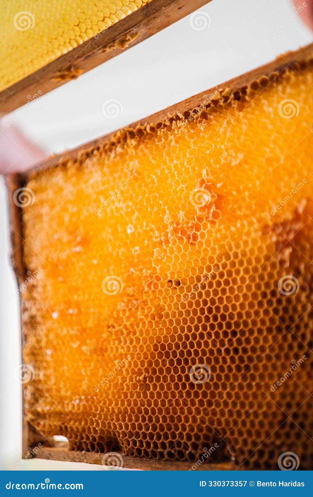 Empty Cells of Honeycombs of a Beehive Close Up Stock Image - Image of ...