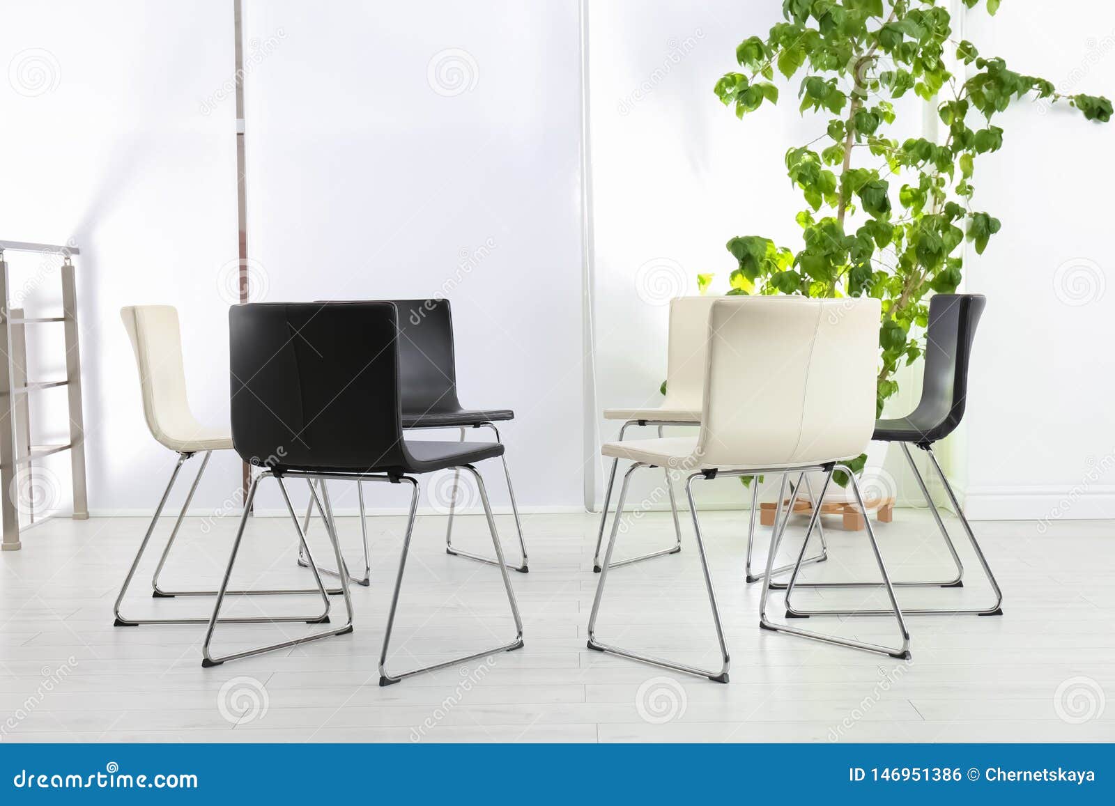 Empty Chairs Prepared for Group Psychotherapy Session Stock Photo ...