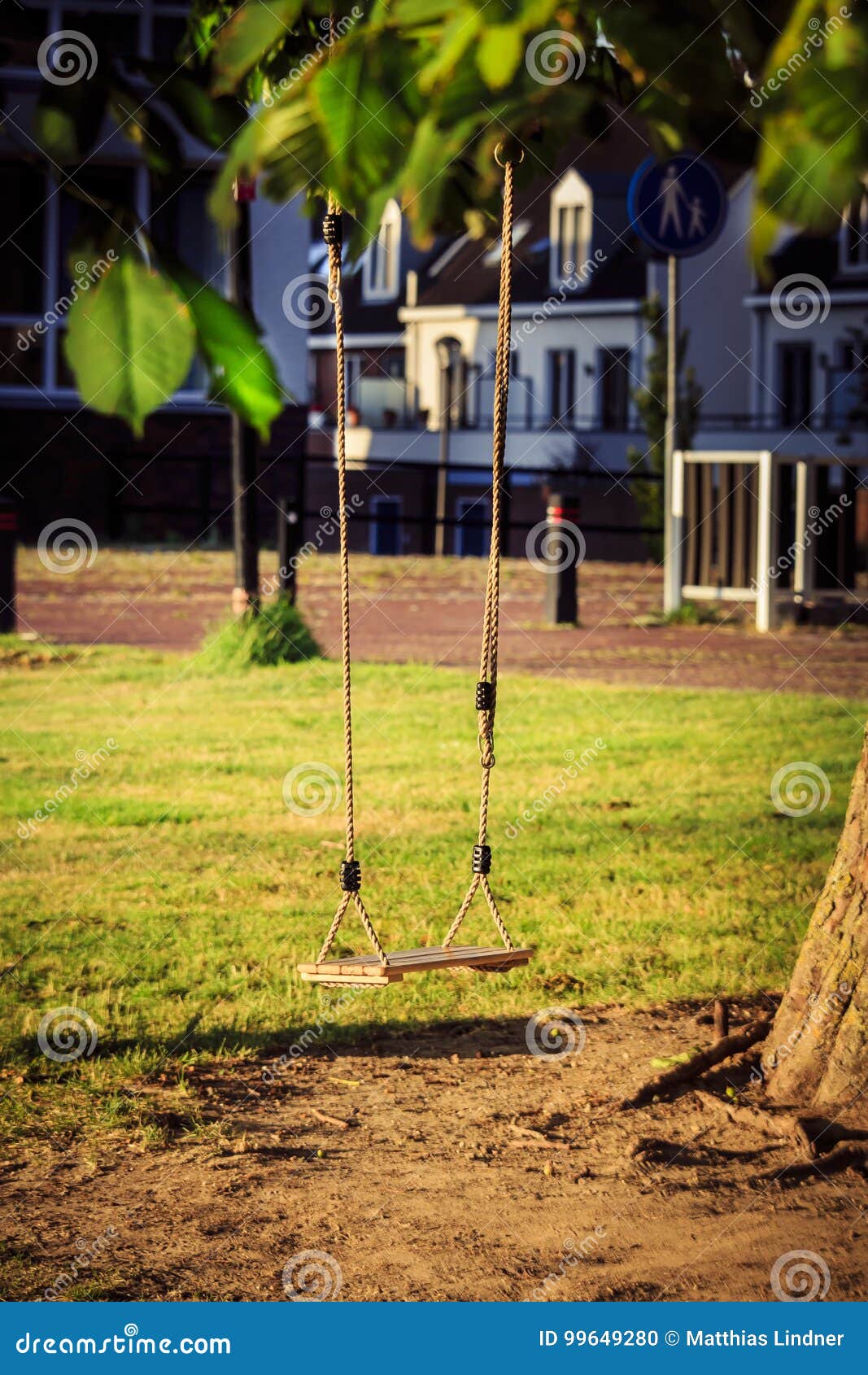 Empty Child Swing on a Tree in the Garden Stock Photo - Image of ...