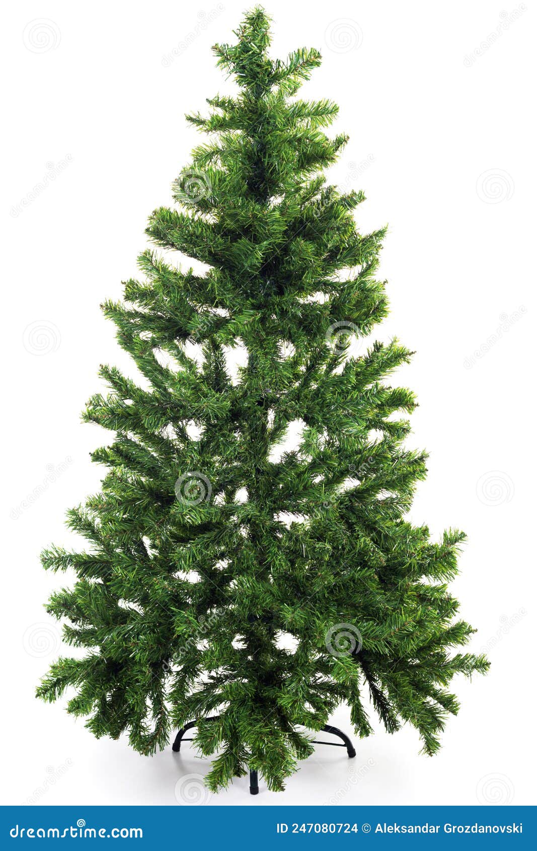 Empty Christmas tree stock photo. Image of happy, xmas - 247080724