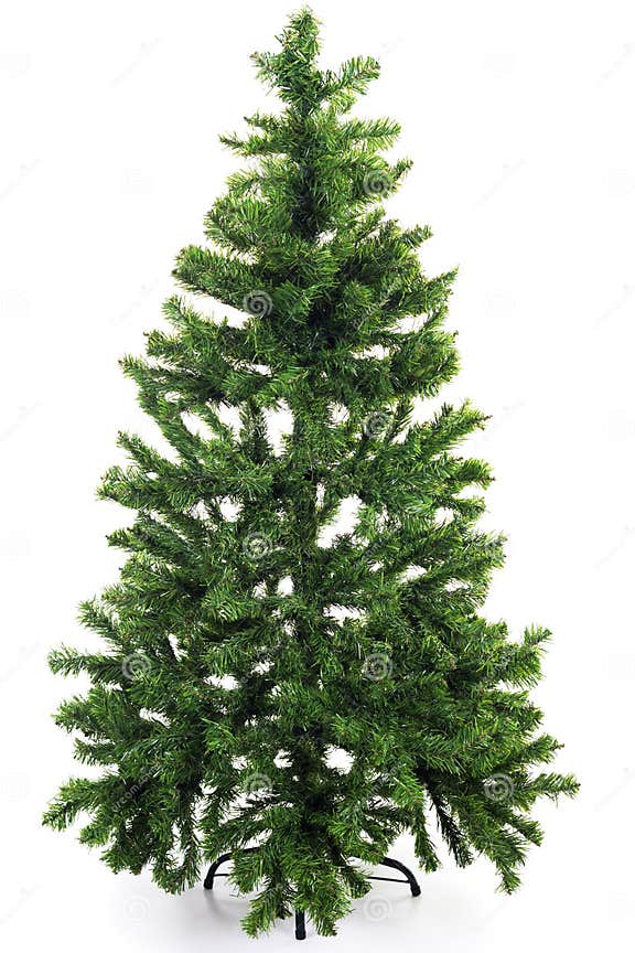 Empty Christmas tree stock photo. Image of happy, xmas - 247080724