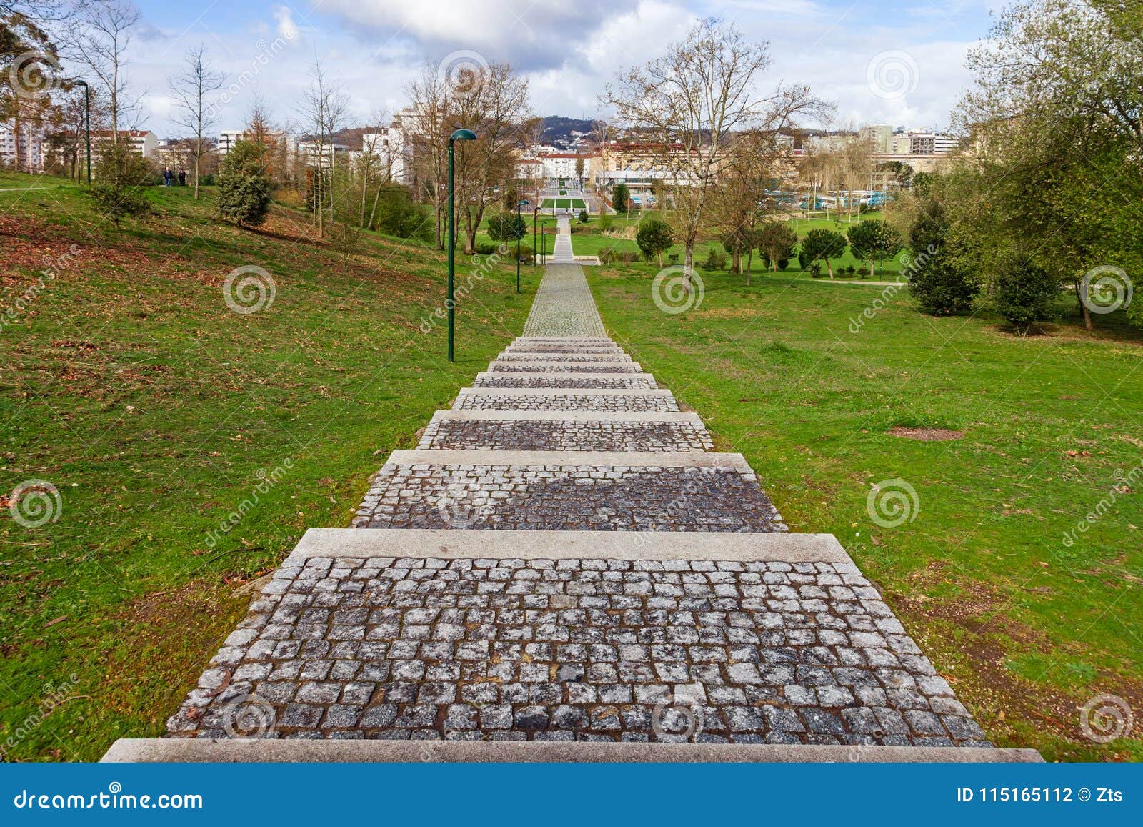 Empty Cobblestone Path, Track, Trail or Pathway through the Trees and ...