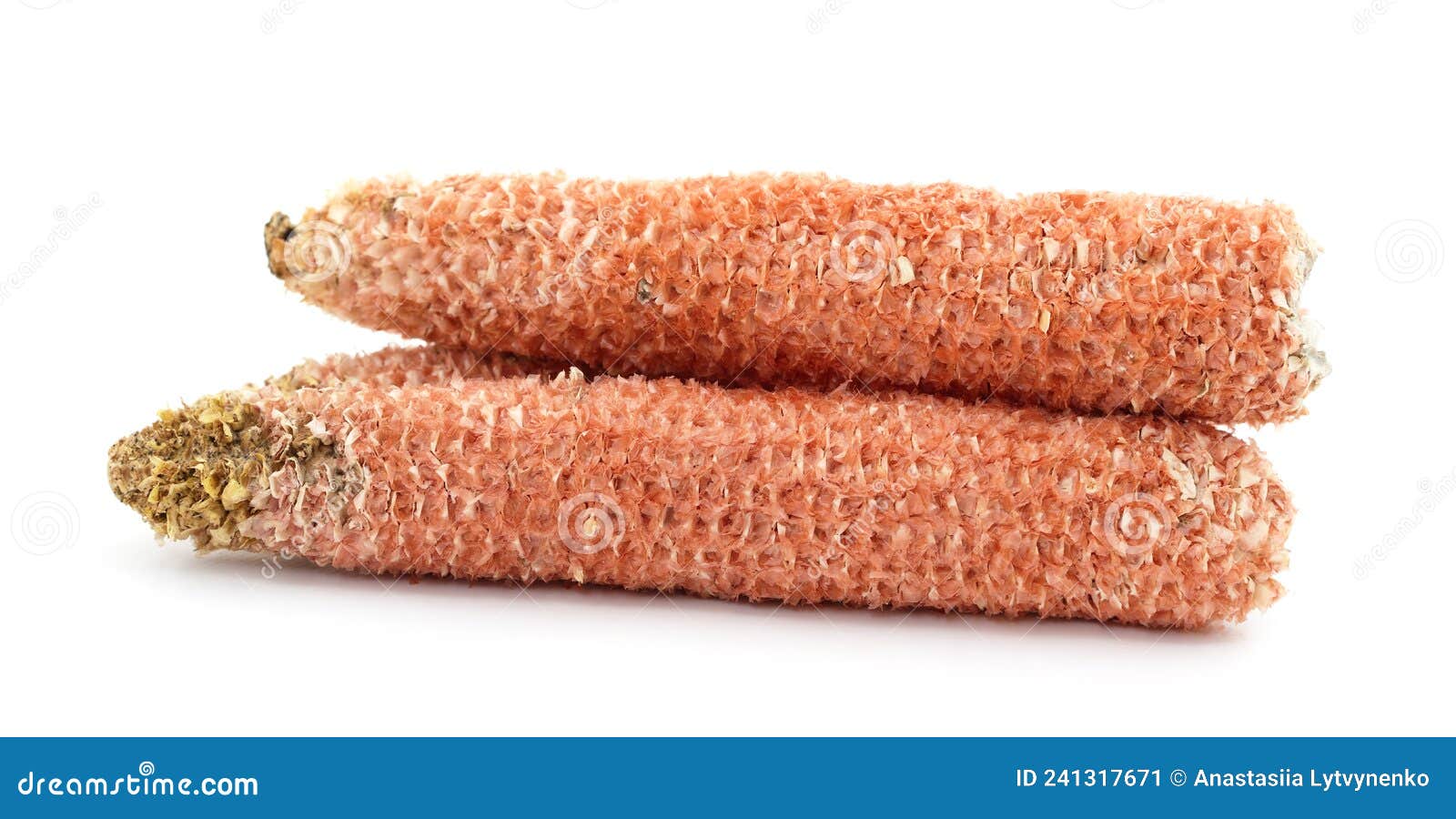 Empty cobs with corn stock image. Image of crop, nutrition - 241317671