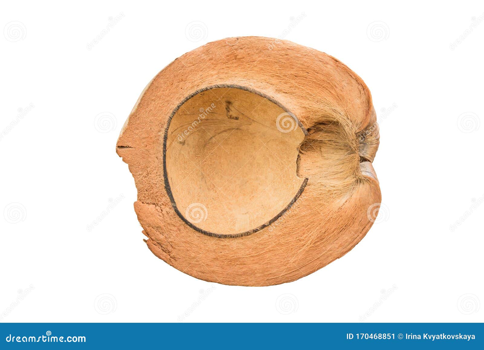 Empty Coconut Shell Isolated on White Background Stock Image - Image of ...