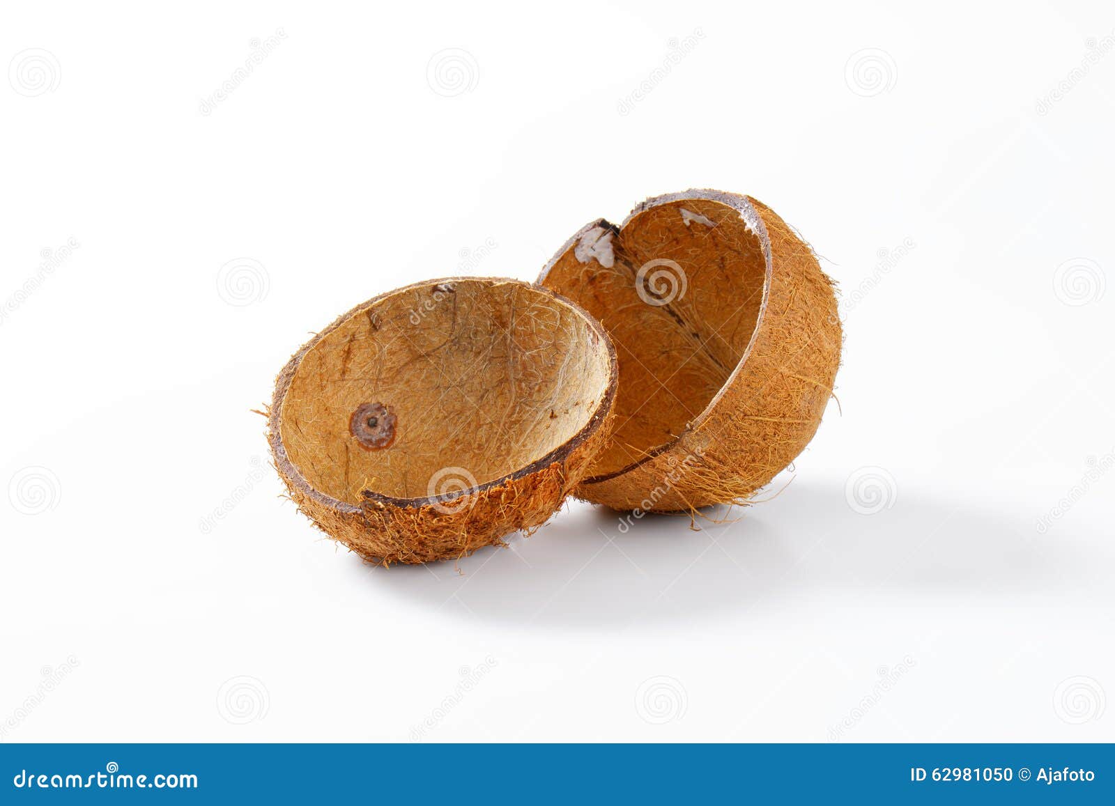 Empty coconut shells stock photo. Image of halves, white - 62981050