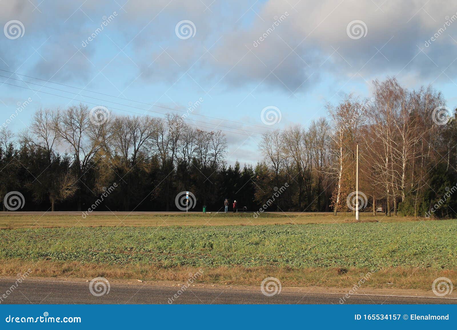First day of the winter stock image. Image of angle - 165534157
