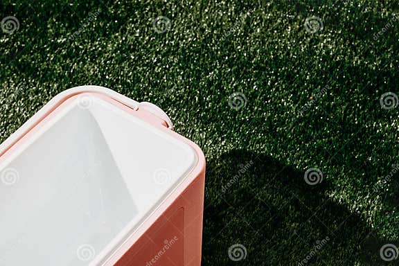 Empty Cooler Mockup - Summer Party Outdoors Stock Photo - Image of ...