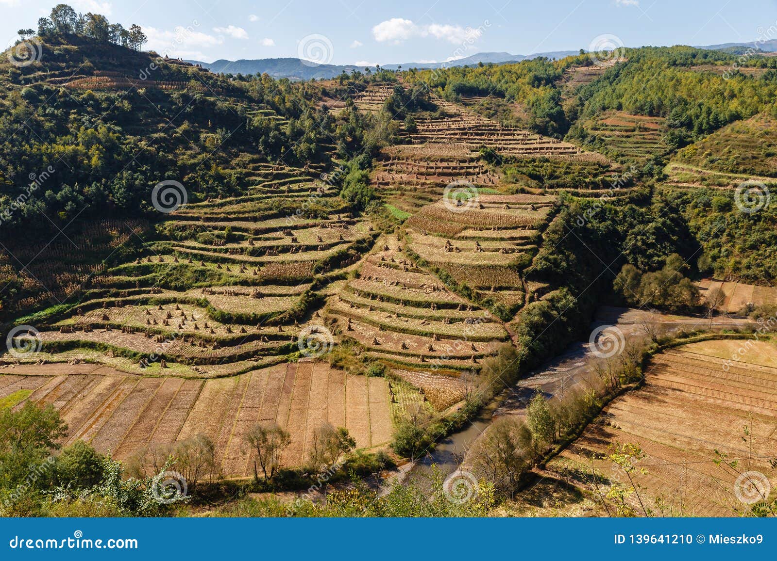Empty Corn Fields after Harvest, China Stock Photo - Image of nature ...
