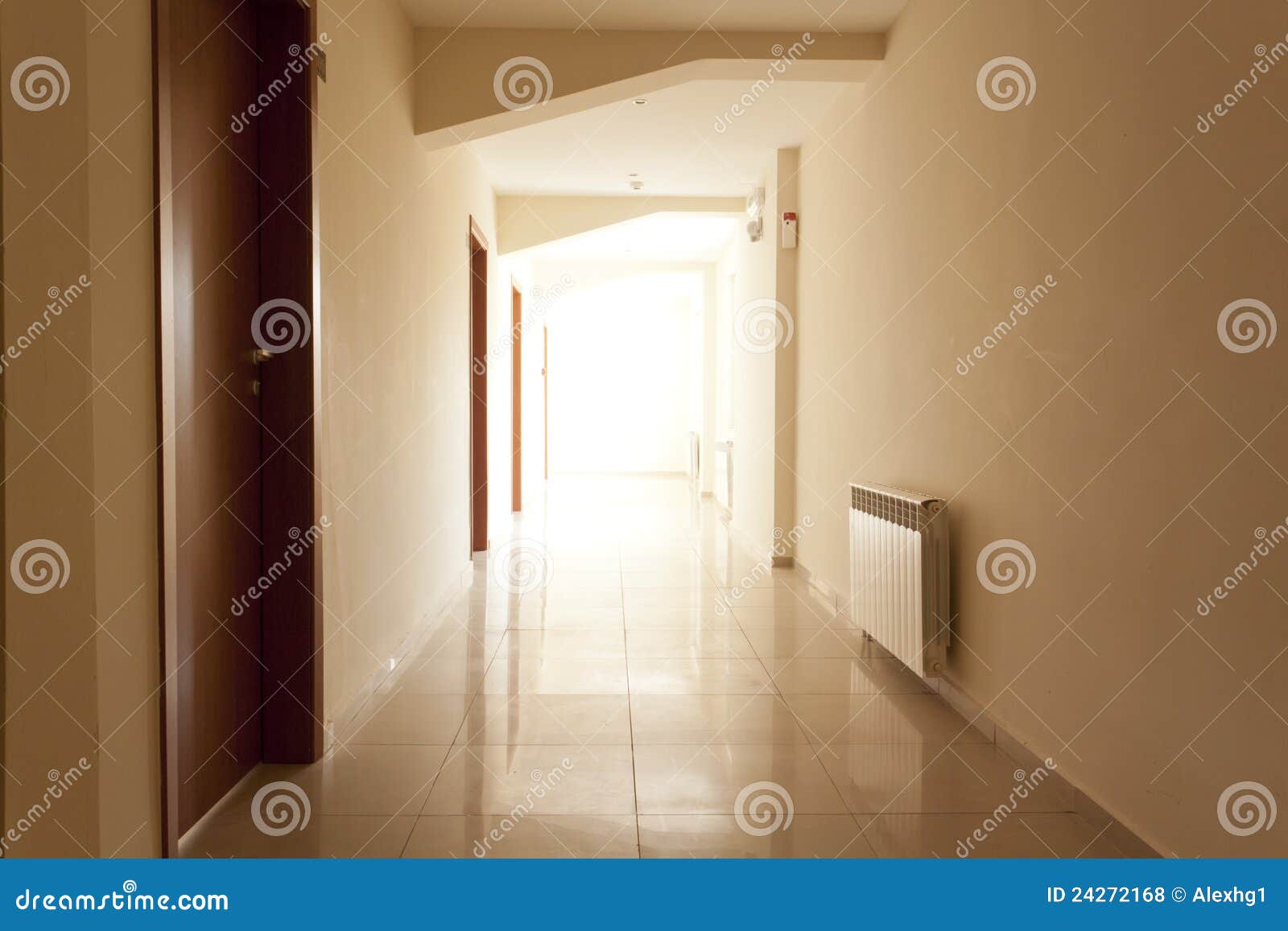 Empty corridor stock photo. Image of space, entrance - 24272168