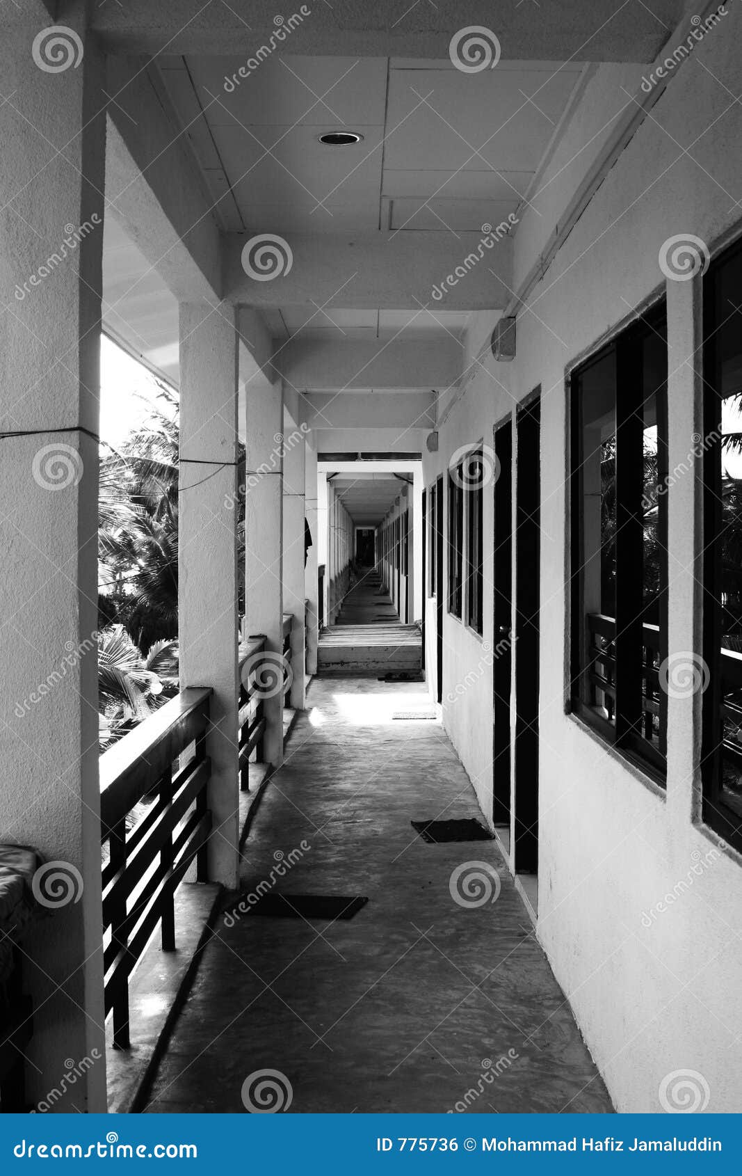 Empty corridor stock photo. Image of tropical, monotone - 775736