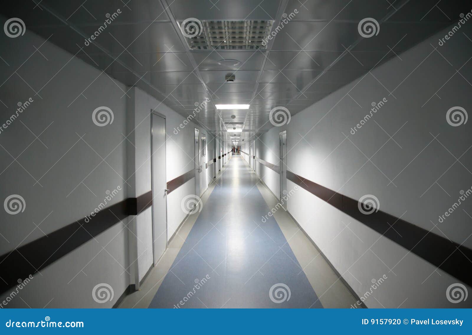 Empty corridor stock photo. Image of company, clean, floor - 9157920