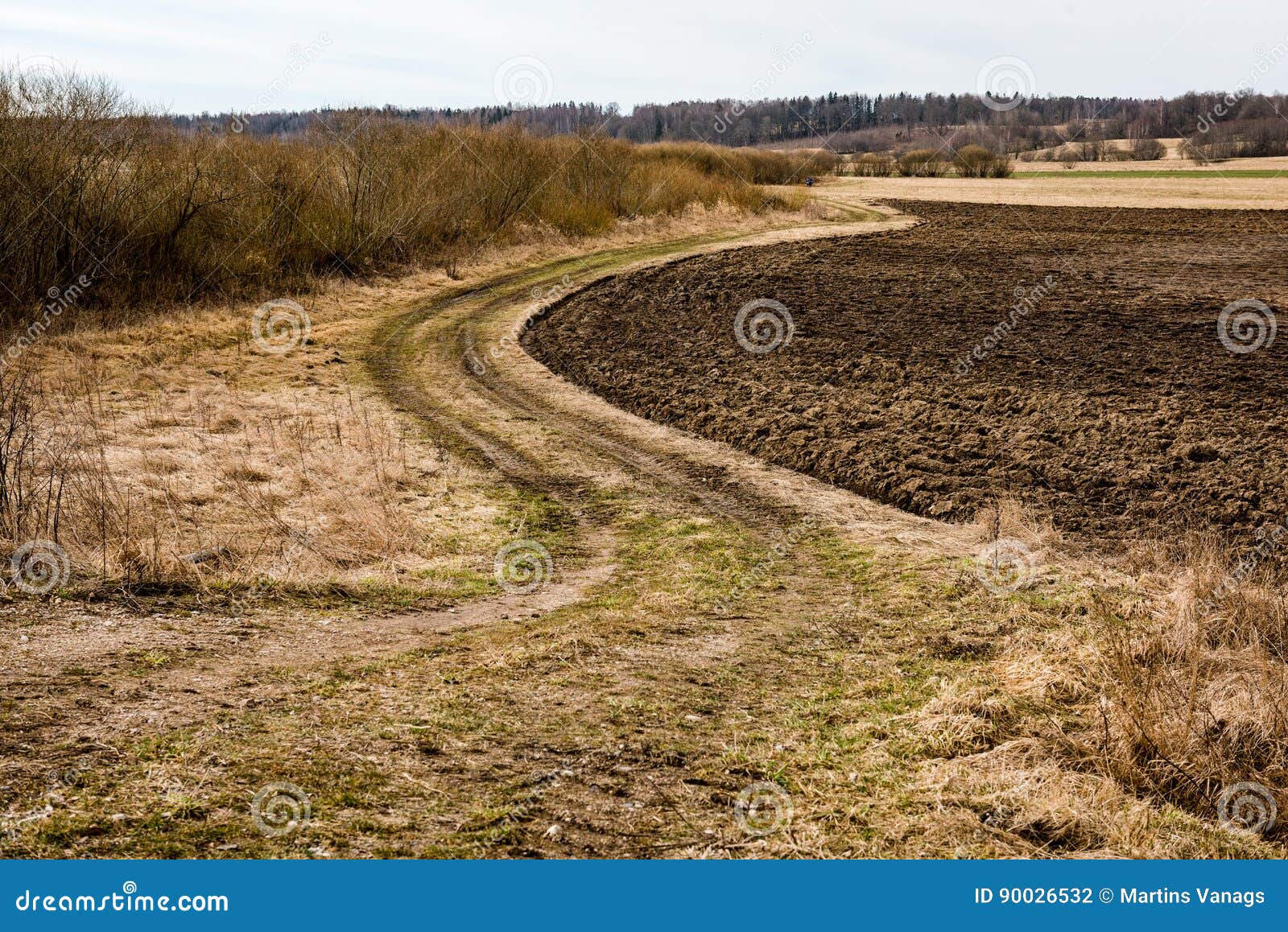 Empty Country Road in Forest Stock Photo - Image of scenery ...