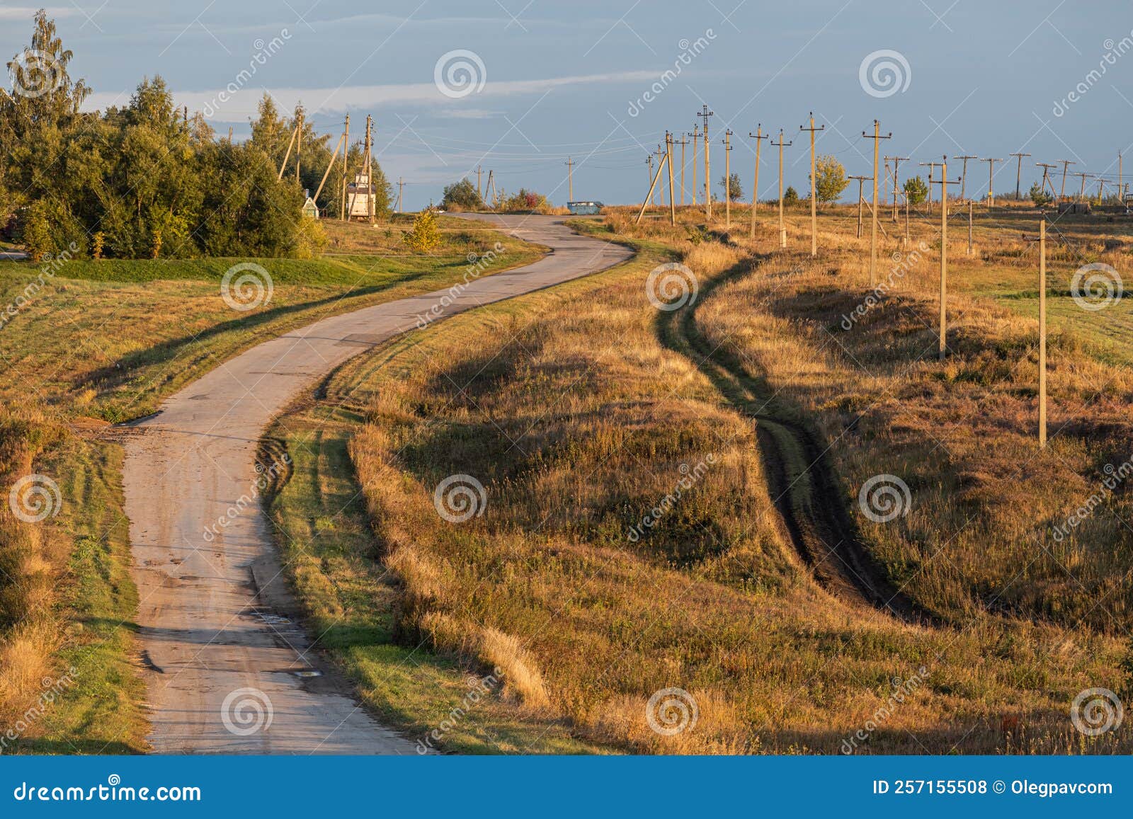 Empty Country Road Going into the Distance Stock Photo - Image of view ...