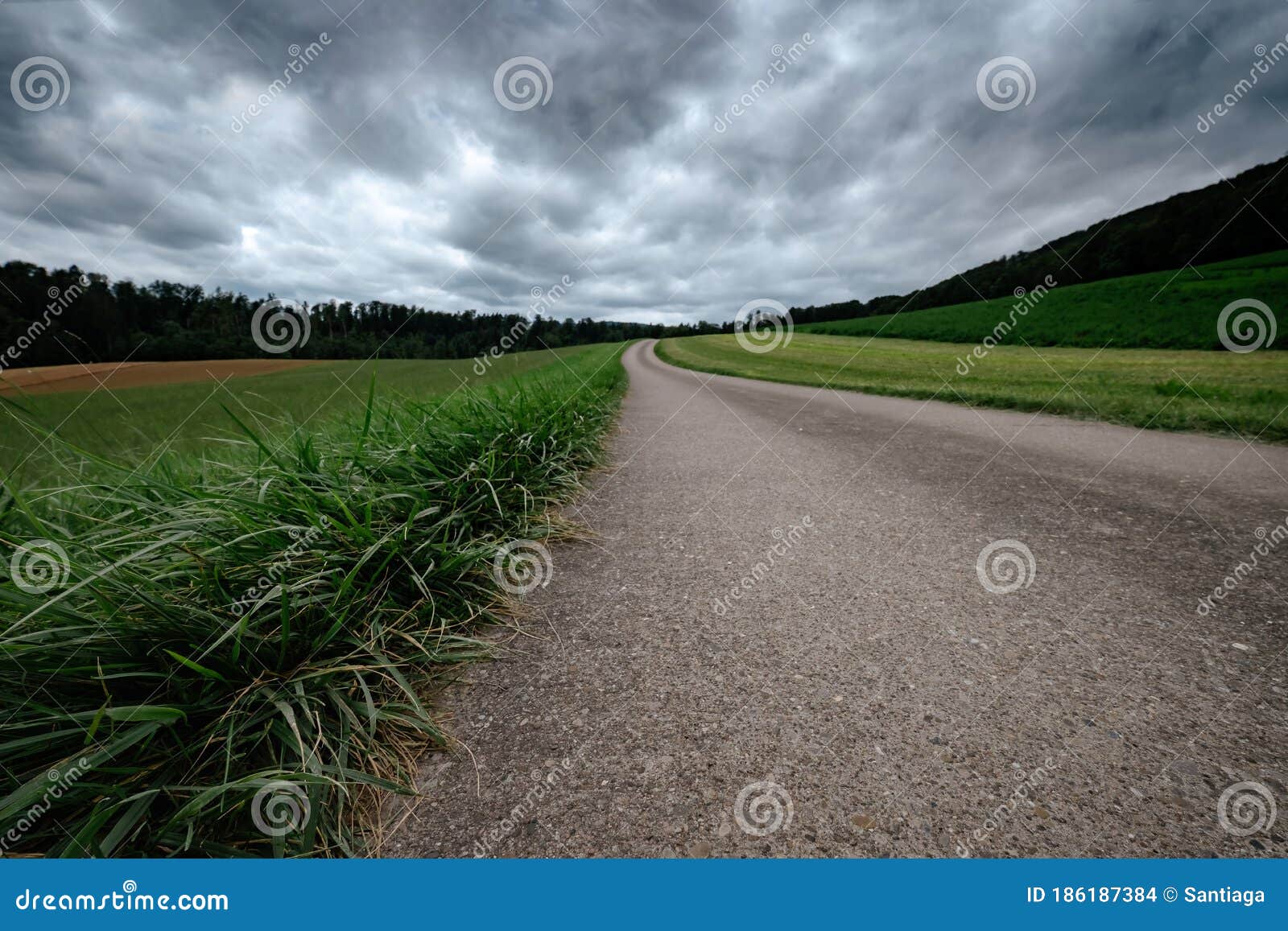 An Empty Country Road through the Green Fields Stock Photo - Image of ...