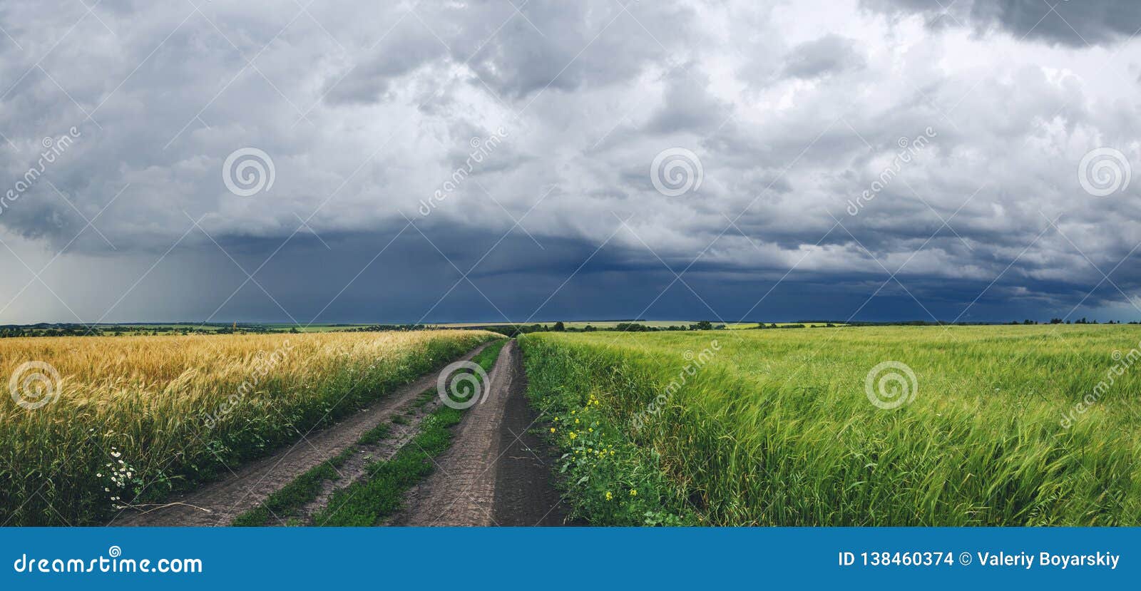 Empty Country Road Passing through the Fields Stock Photo - Image of ...