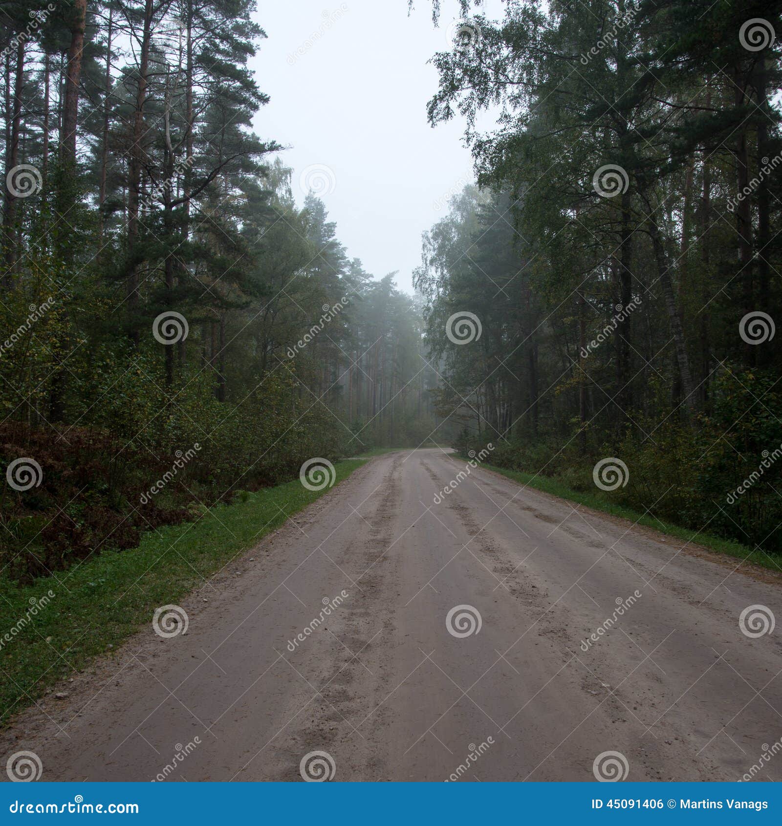 Empty country road stock photo. Image of meadow, countryside - 45091406