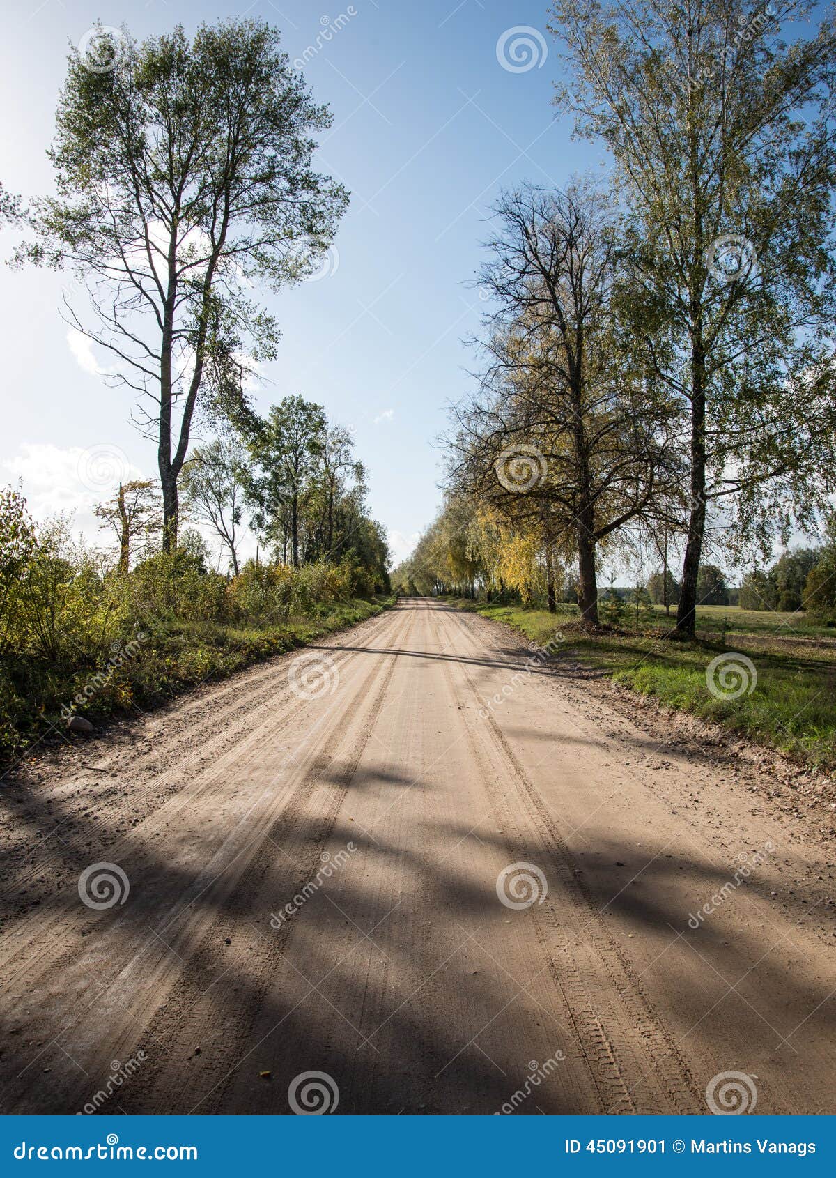 Empty country road stock image. Image of rural, countryside - 45091901
