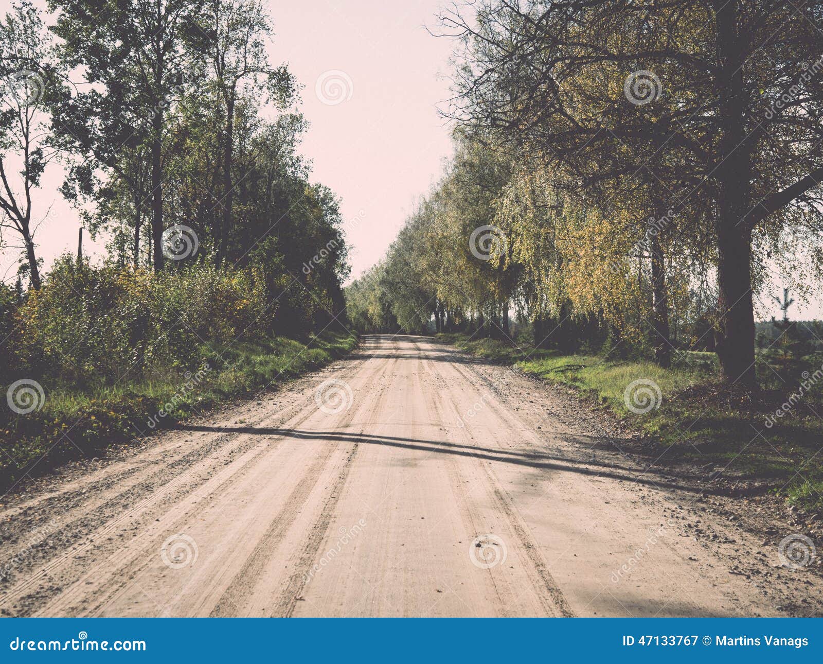 Empty country road stock image. Image of environment - 47133767