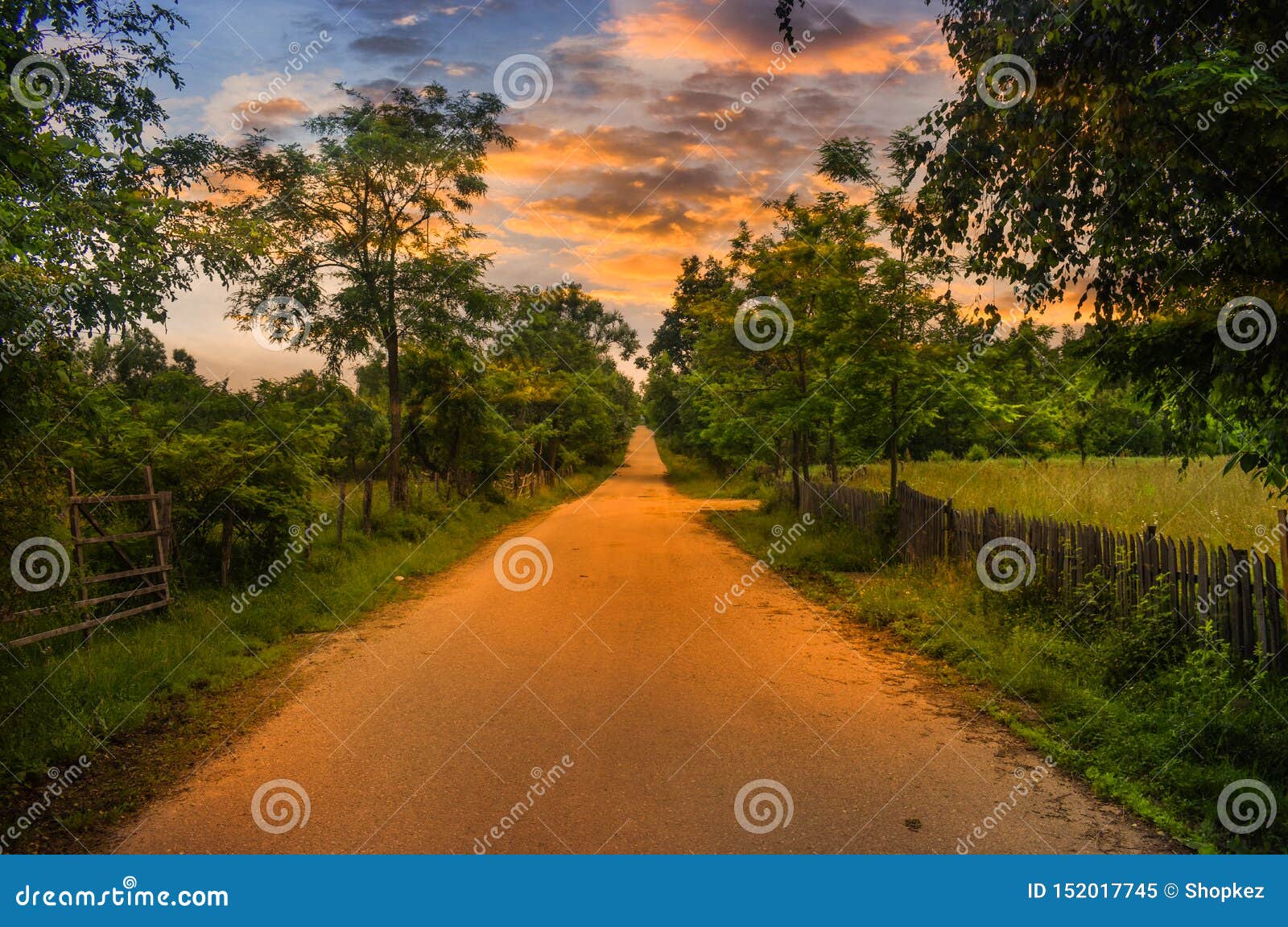 Empty Country Road at Sunset with Green Fields and Trees on Both Sides ...
