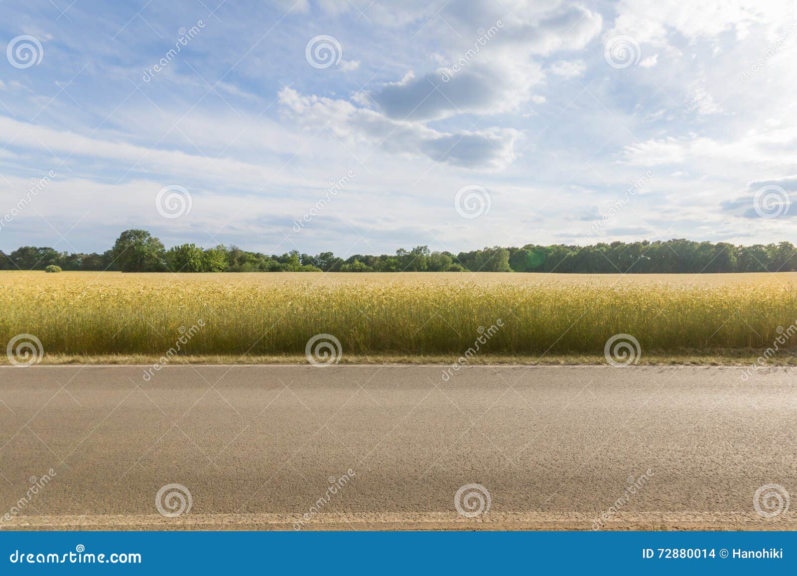 Empty Country Road , Wheat Field Background and Blue Sky Stock Photo ...