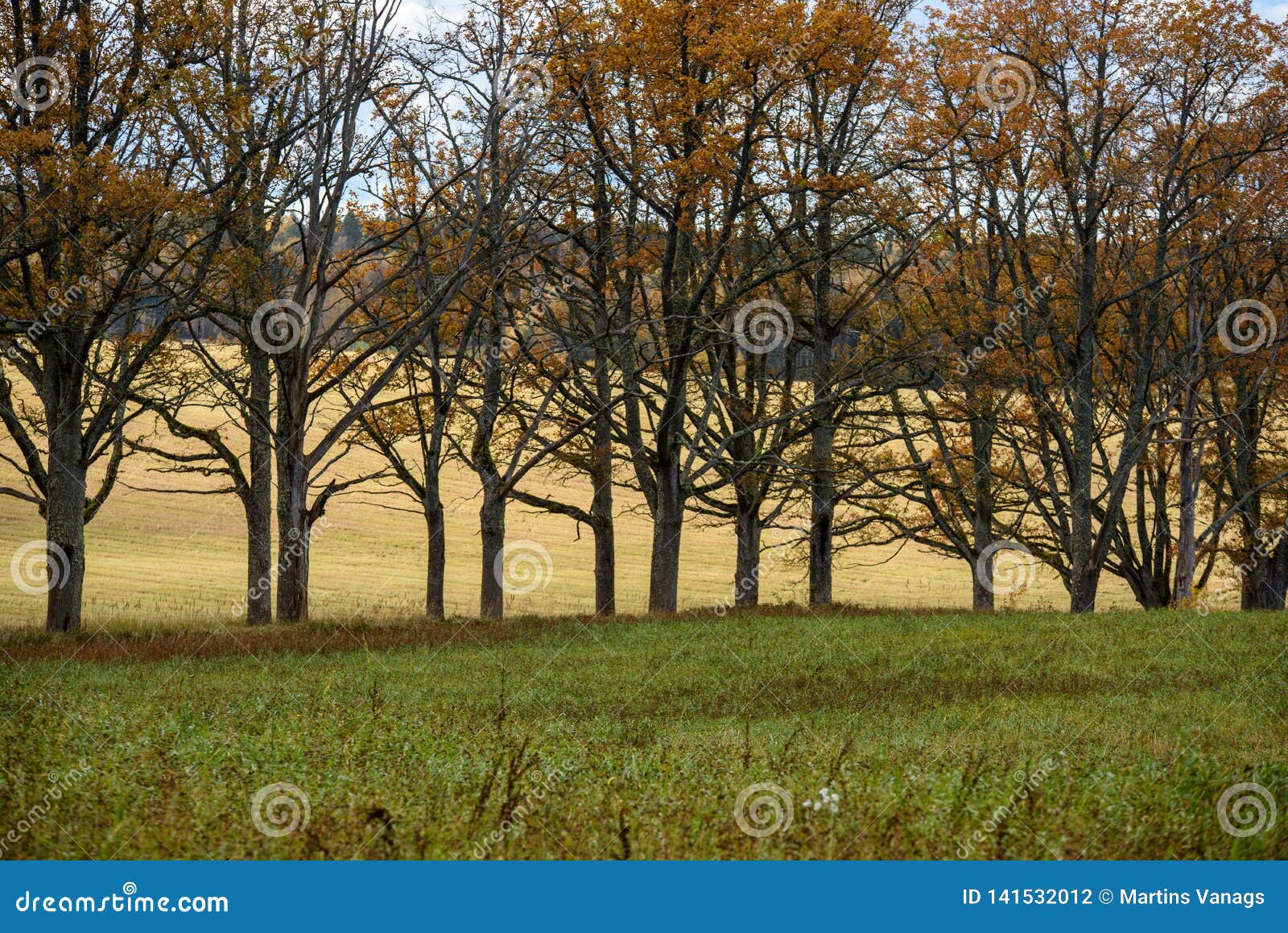 Empty Countryside Fields in Late Autumn Stock Photo - Image of dawn ...